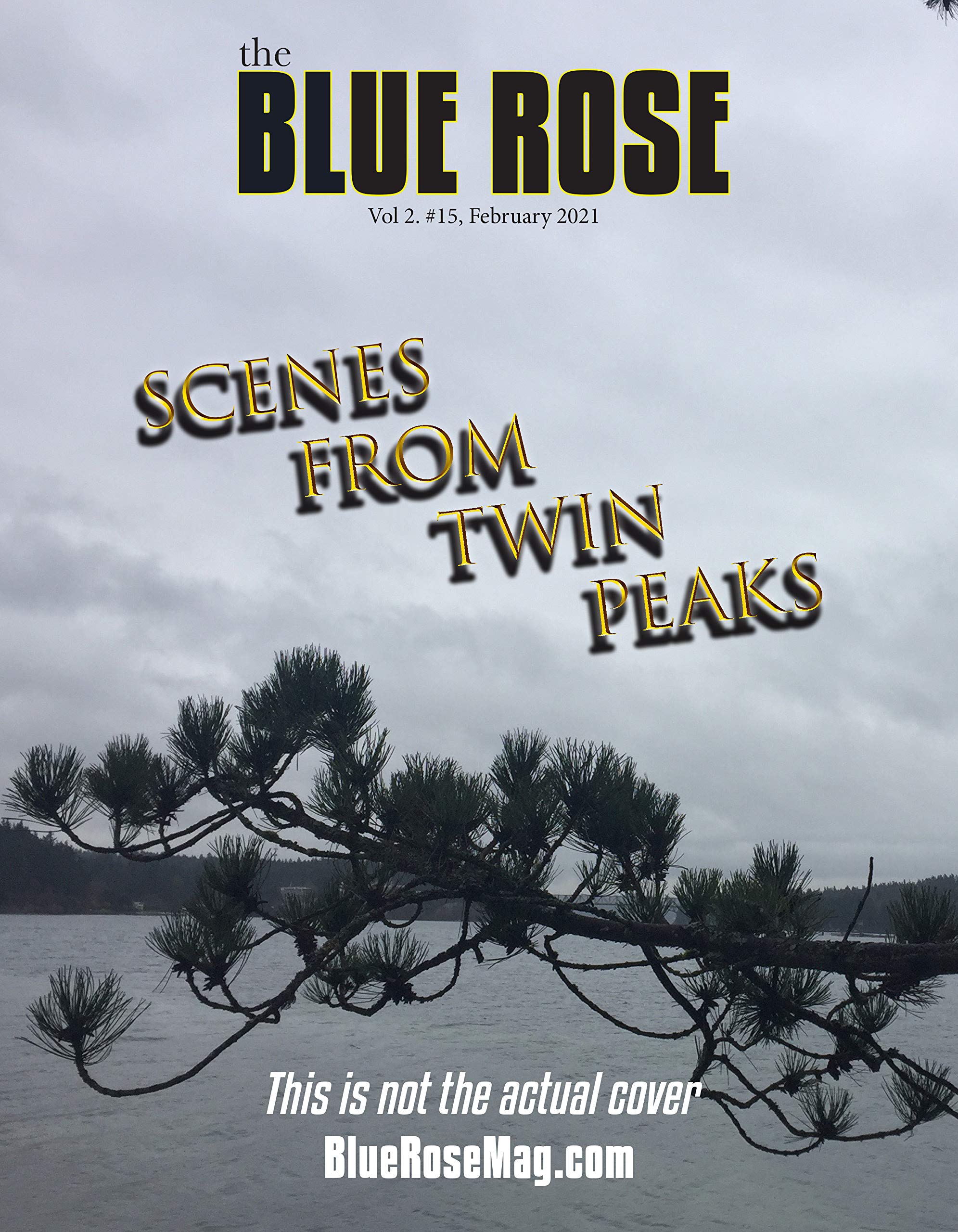 The Blue Rose Magazine: Issue #15 by Scott Ryan | Goodreads
