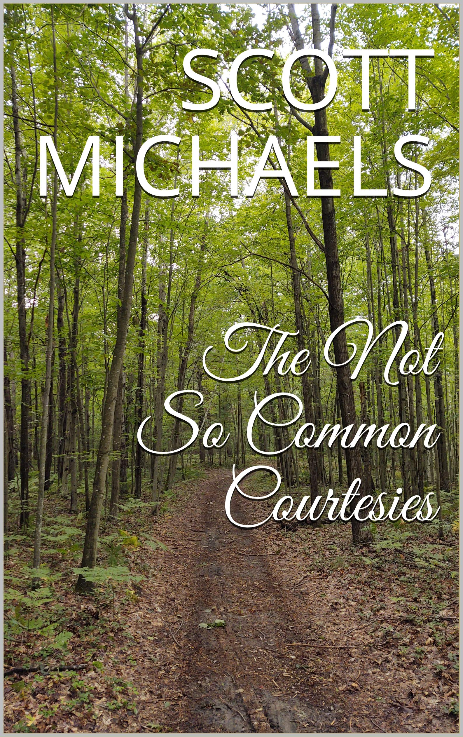 The Not So Common Courtesies by Scott Michaels | Goodreads