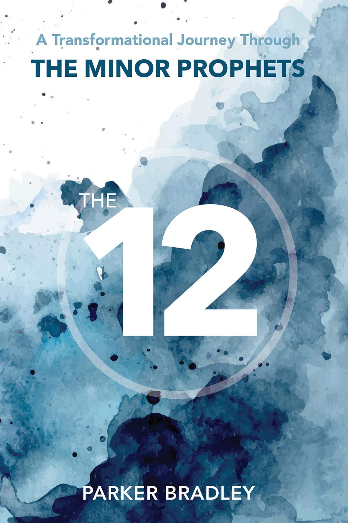 The Twelve: A Transformational Journey Through The Minor Prophets by ...