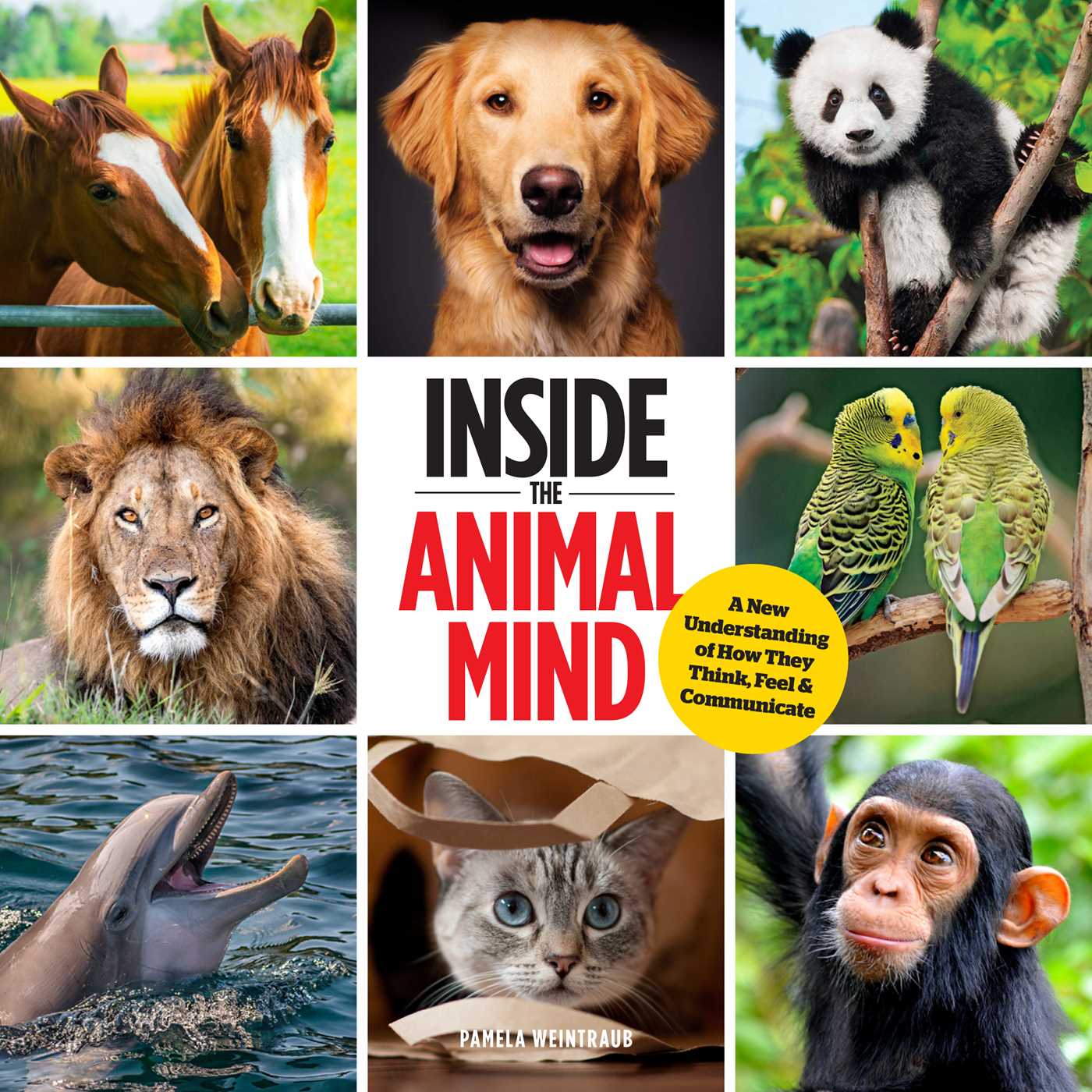 Inside the Animal Mind: A New Understanding of How They Think, Feel ...