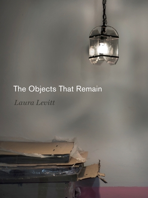 The Objects That Remain by Laura Levitt | Goodreads