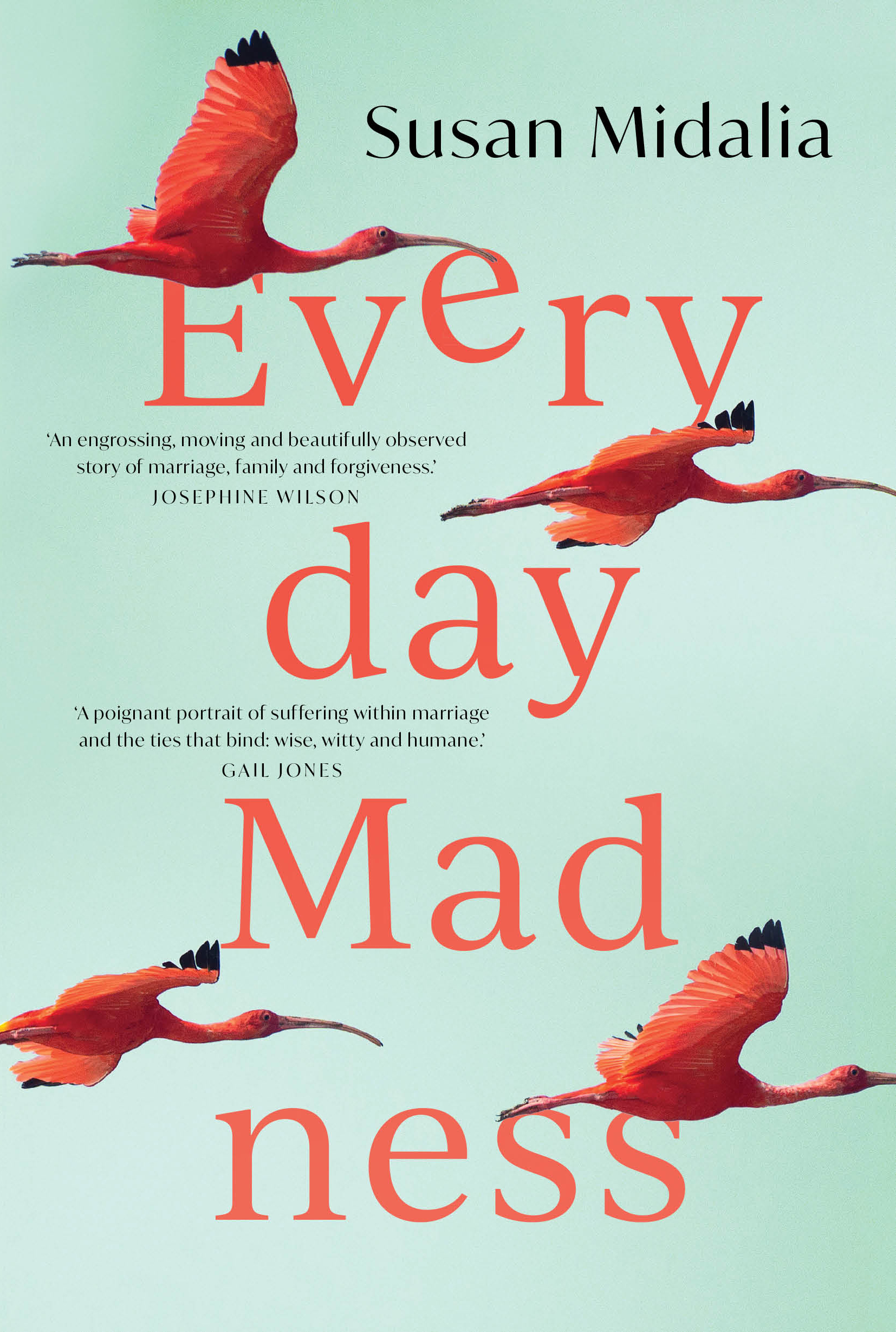Everyday Madness by Susan Midalia | Goodreads
