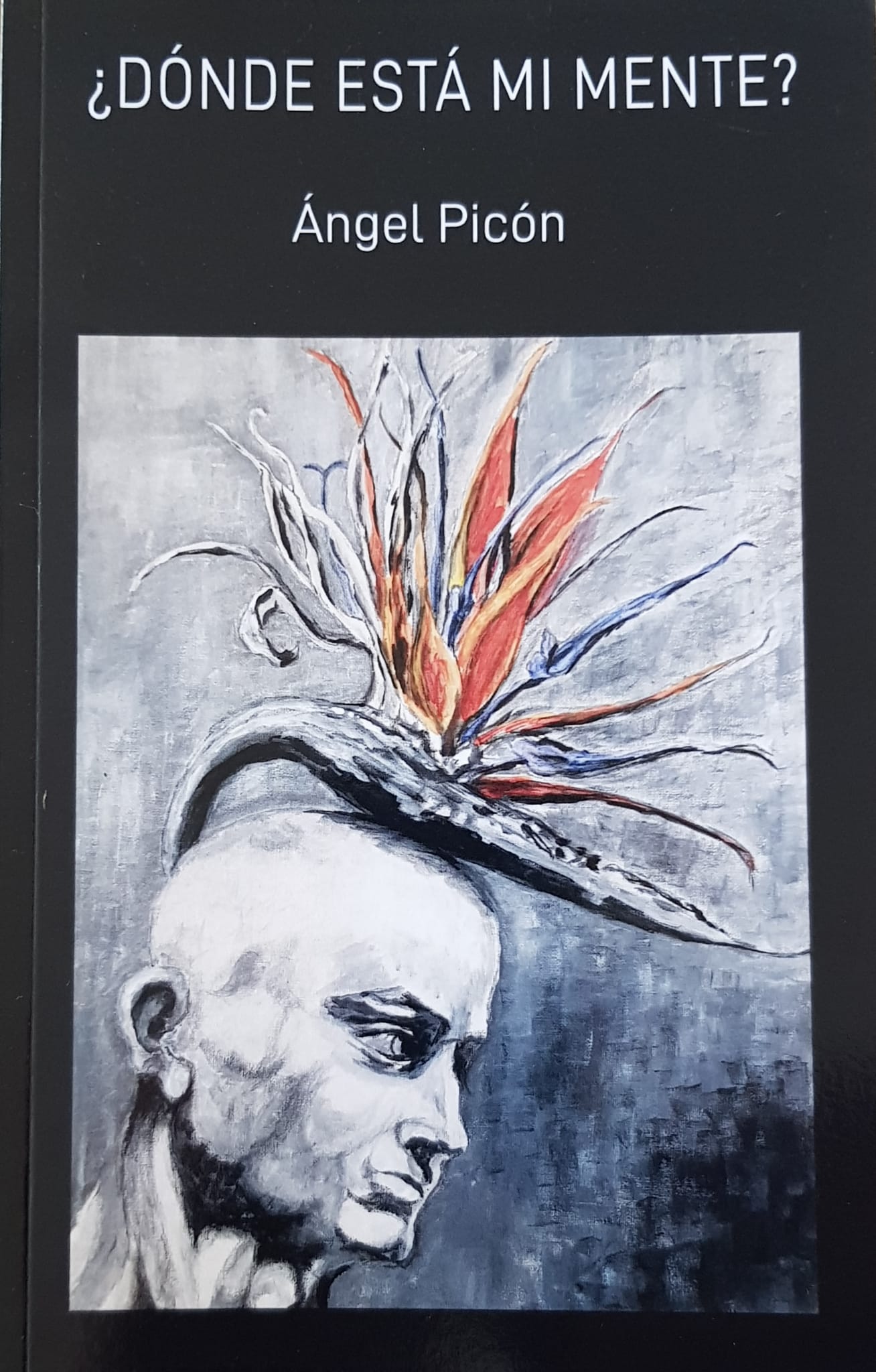 ¿Dónde está mi mente? by Ángel Picón | Goodreads