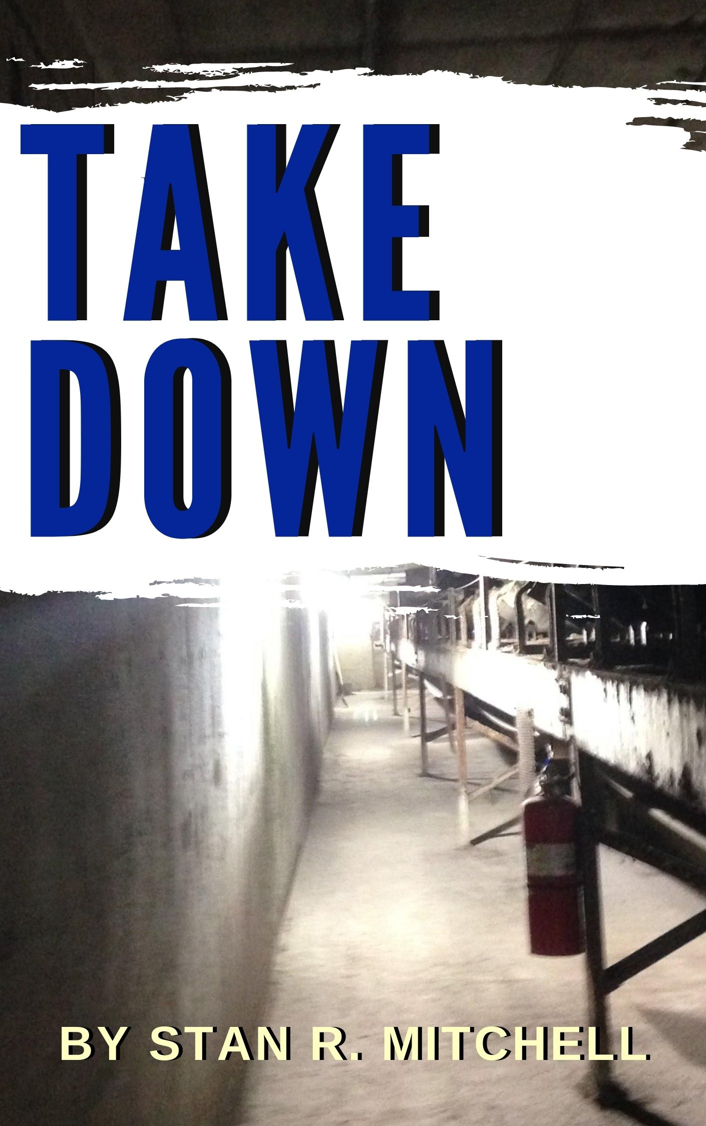 Take Down by Stan R. Mitchell | Goodreads