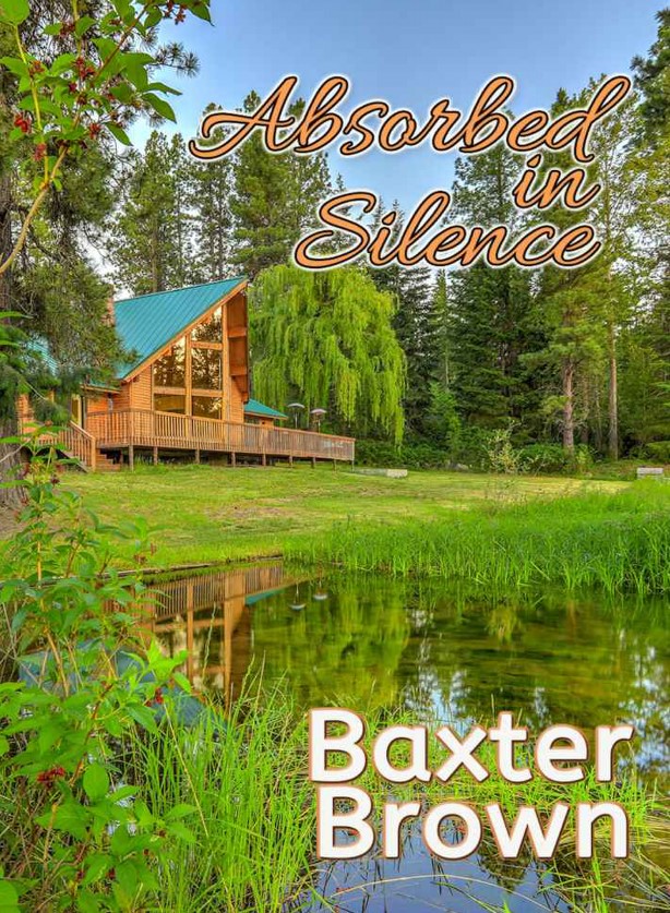 Absorbed in Silence by Baxter Brown | Goodreads