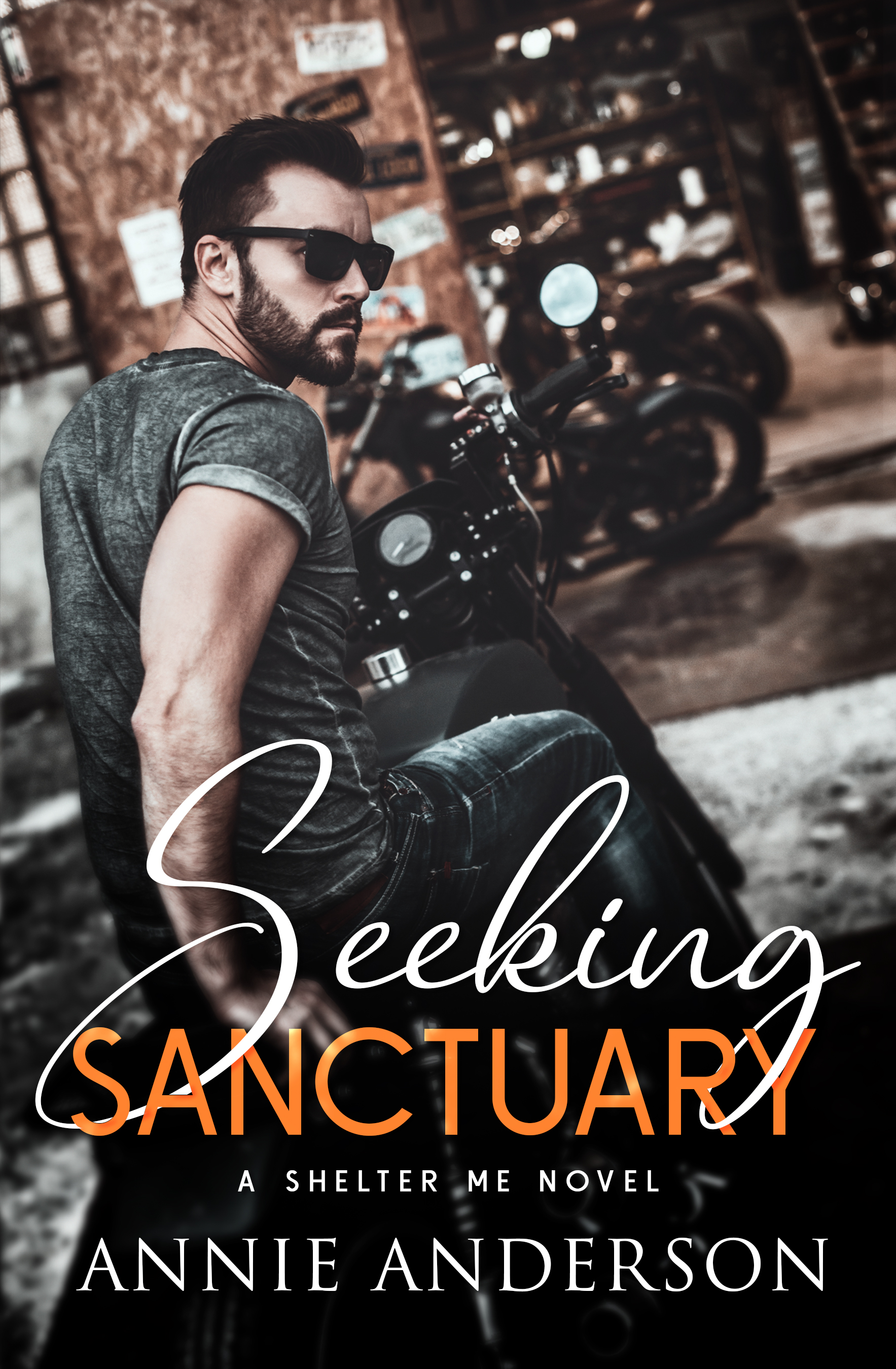 Seeking Sanctuary (Shelter Me #1) by Annie Anderson | Goodreads