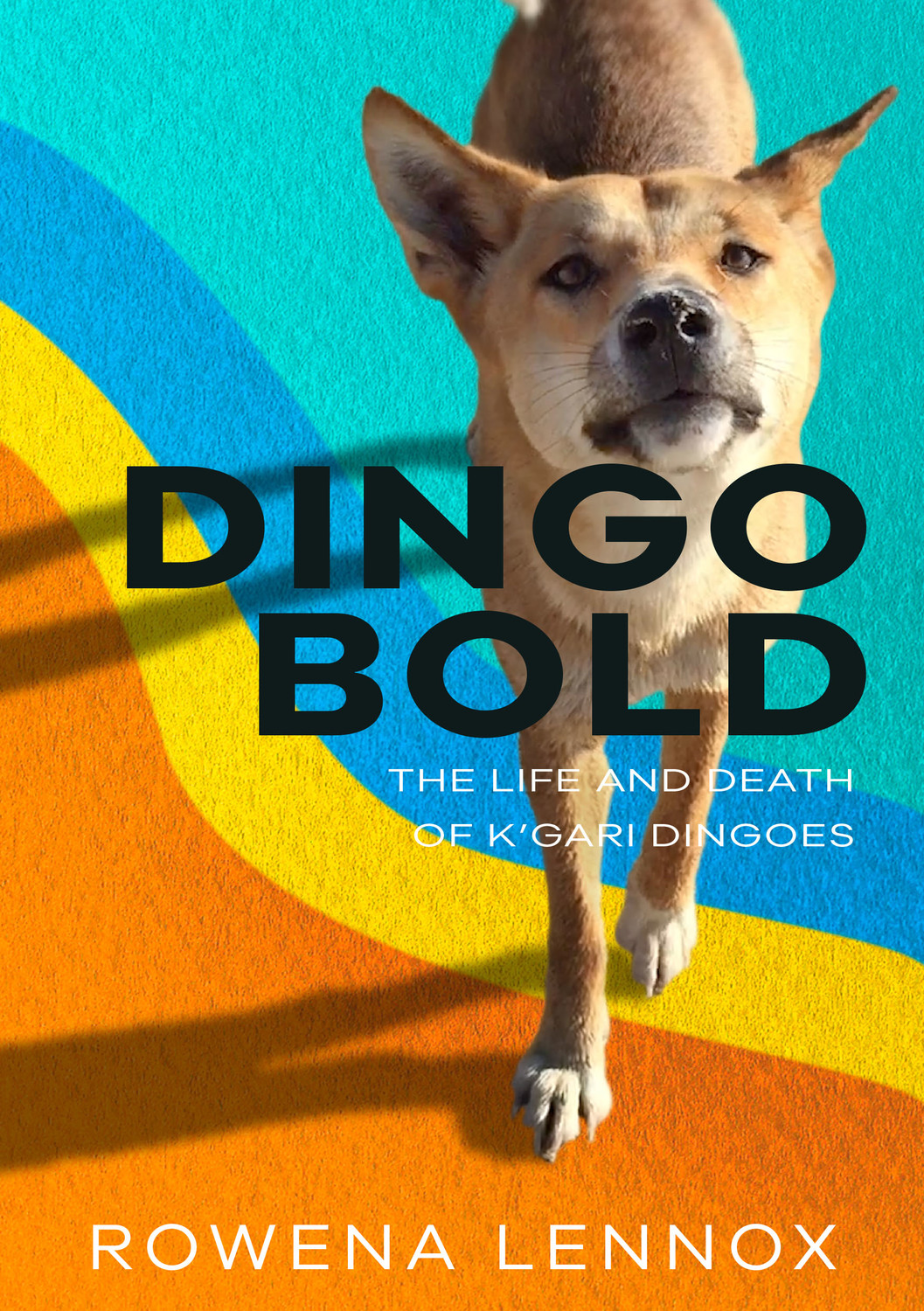 Dingo Bold by Rowena Lennox | Goodreads