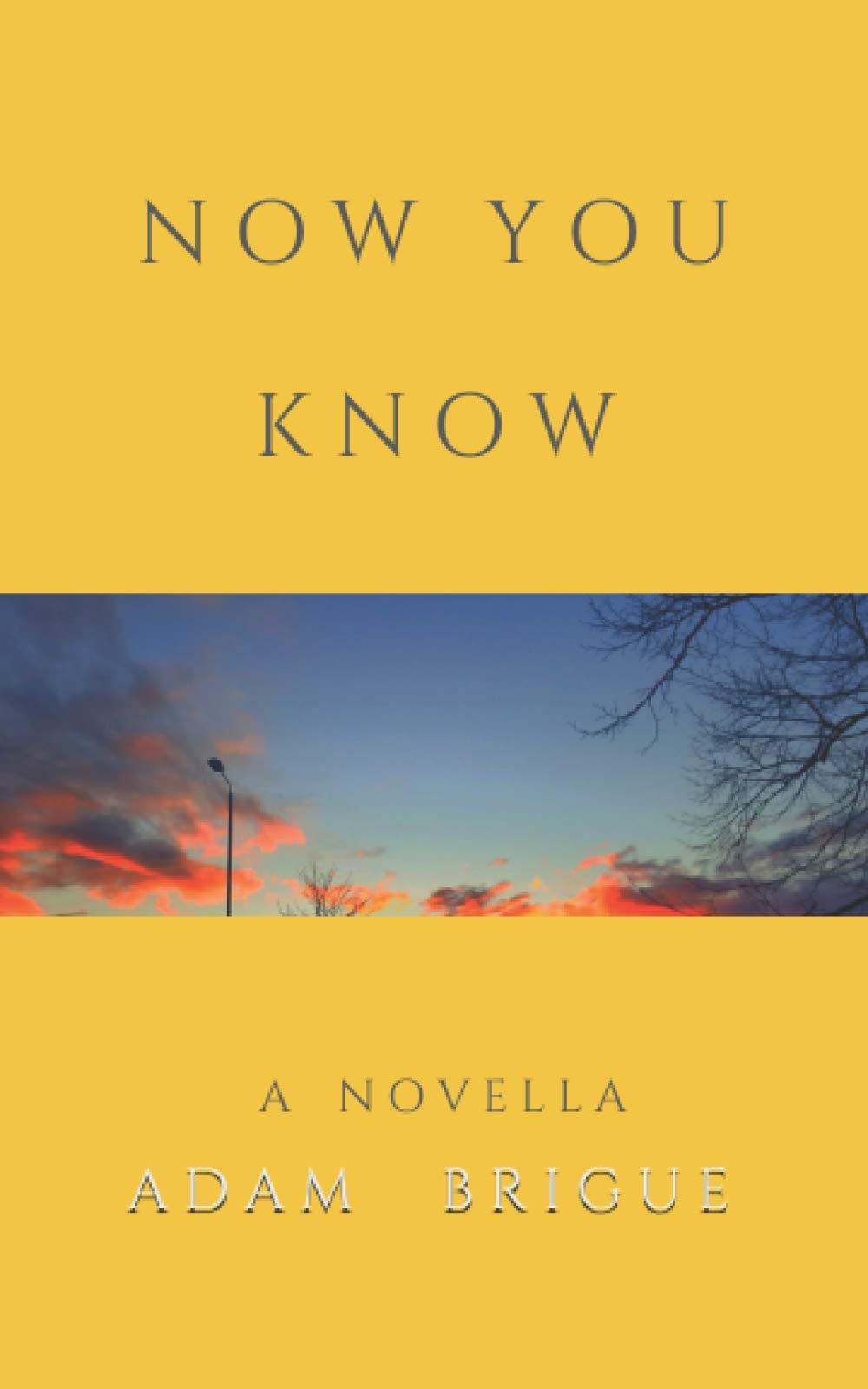 Now You Know by Adam Brigue | Goodreads
