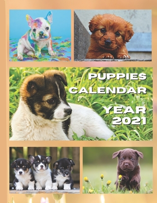 Puppies calendar 2021: Every month a new picture of your favorite pet ...