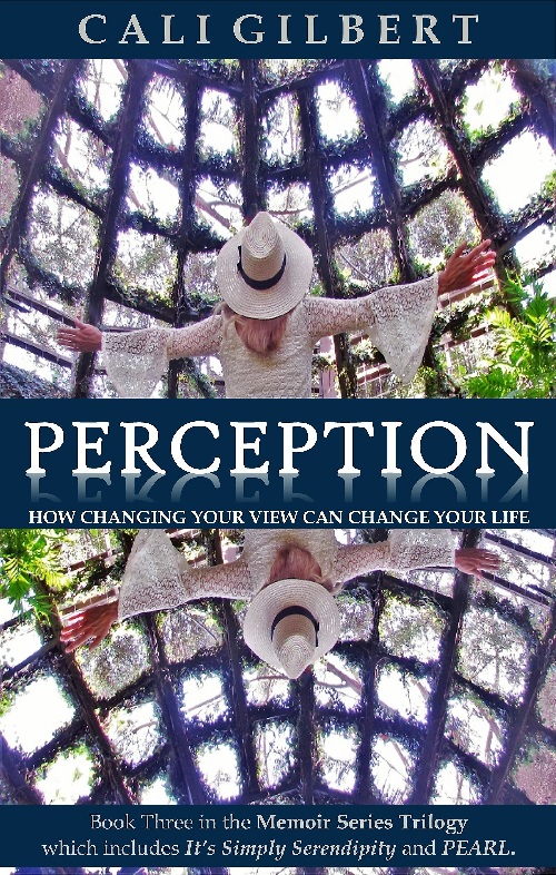 Perception by Cali Gilbert | Goodreads