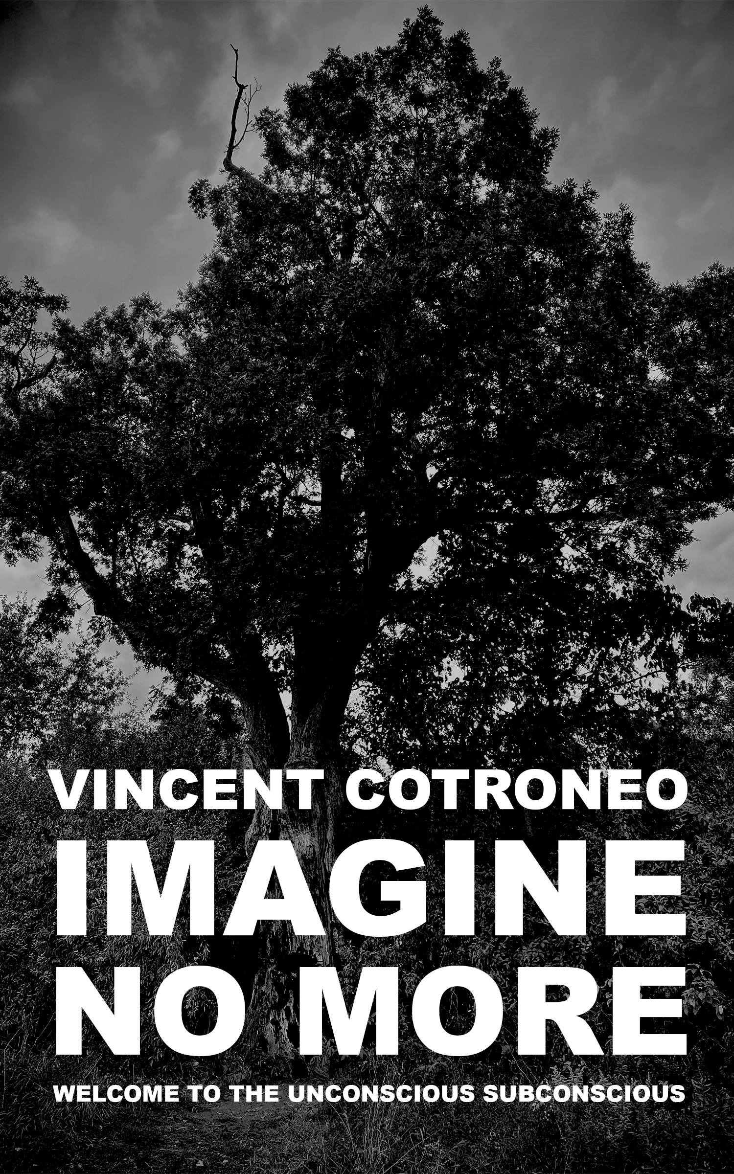 Imagine No More by Vincent Cotroneo | Goodreads