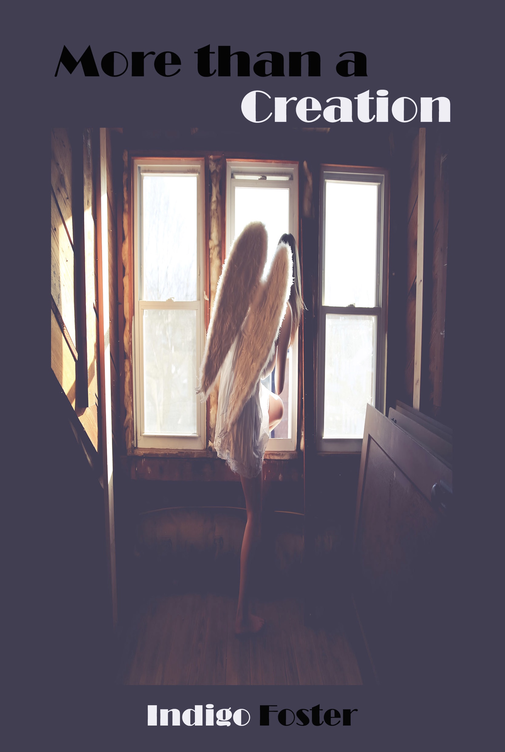 More Than a Creation by Indigo Foster | Goodreads