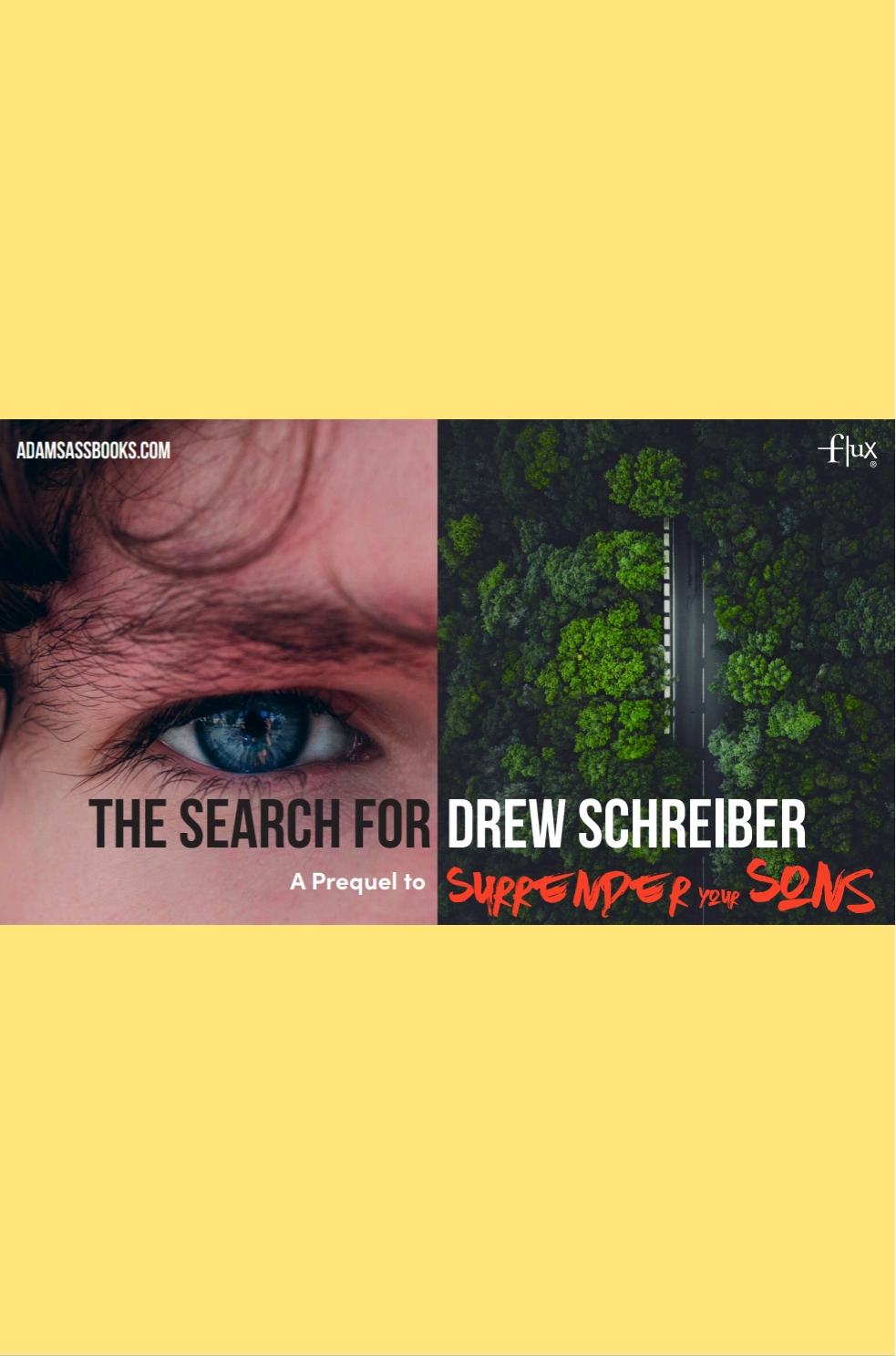 The Search for Drew Schreiber by Adam Sass | Goodreads