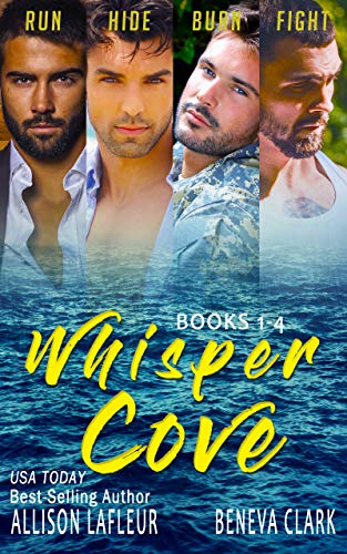 Whisper Cove: Boxed Set, Books 1-4 by Allison LaFleur | Goodreads