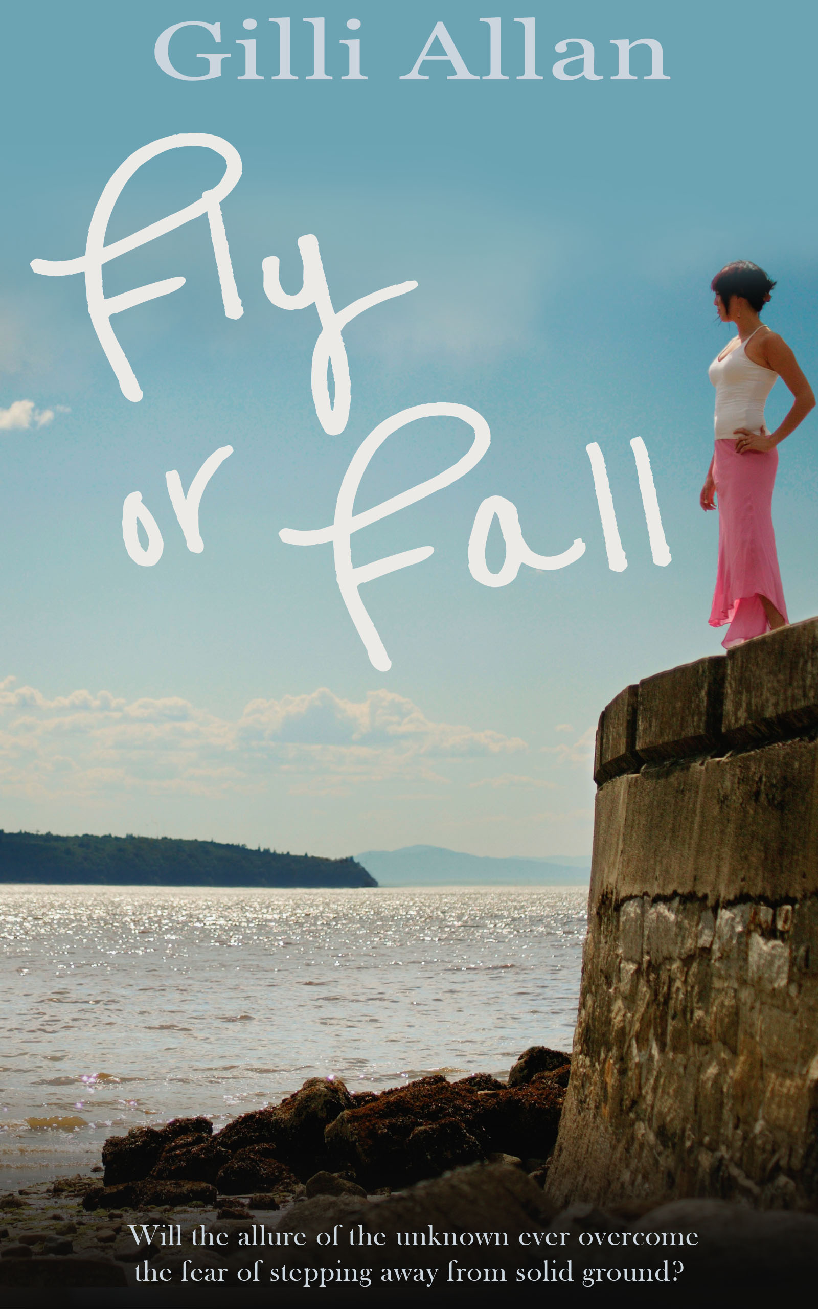 Fly or Fall by Gilli Allan | Goodreads