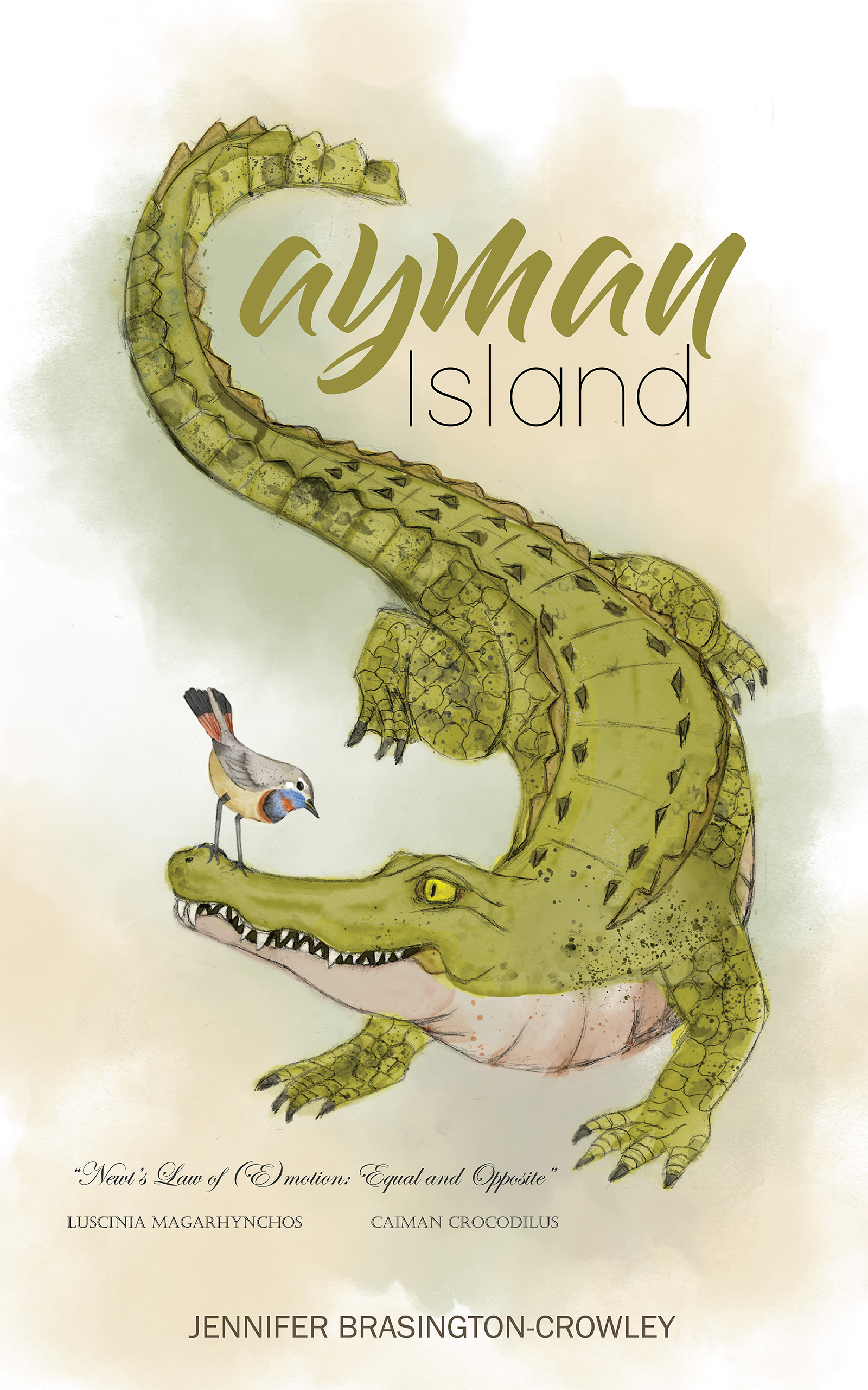 Cayman Island (Stillwaters) by Jennifer Brasington-Crowley | Goodreads