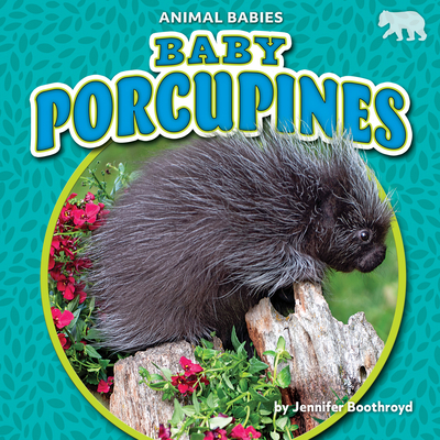 Baby Porcupines - Nonfiction Reading for Grade 1 with Vibrant ...