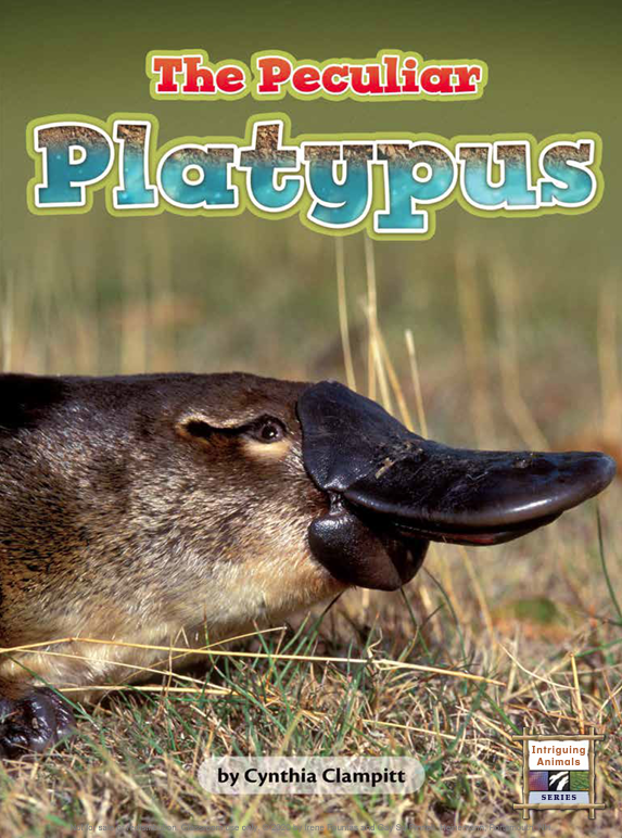The Peculiar Platypus by Cynthia Clampitt | Goodreads