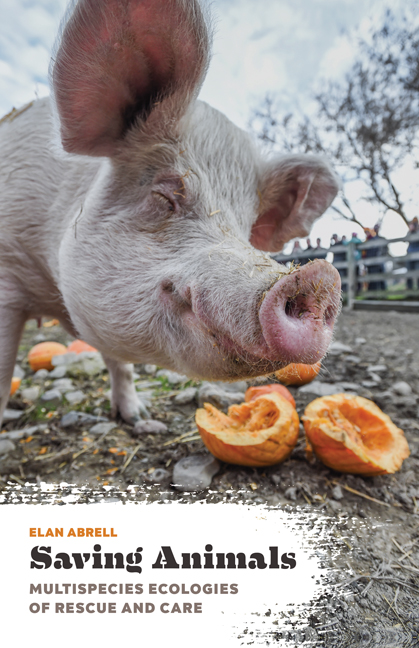 Saving Animals: Multispecies Ecologies of Rescue and Care by Elan ...