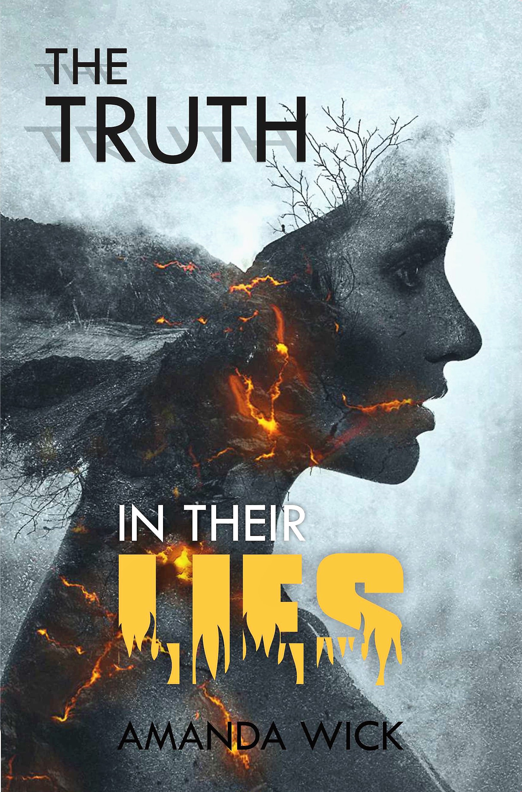 The Truth In Their Lies by Amanda Wick | Goodreads