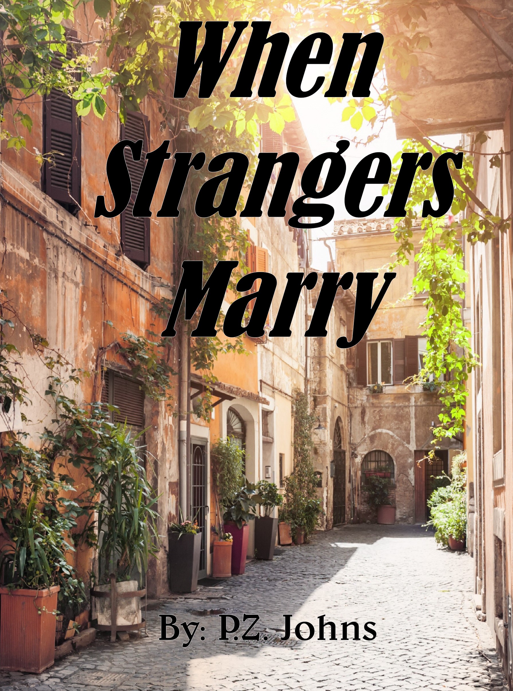 When Strangers Marry by P.Z. Johns | Goodreads