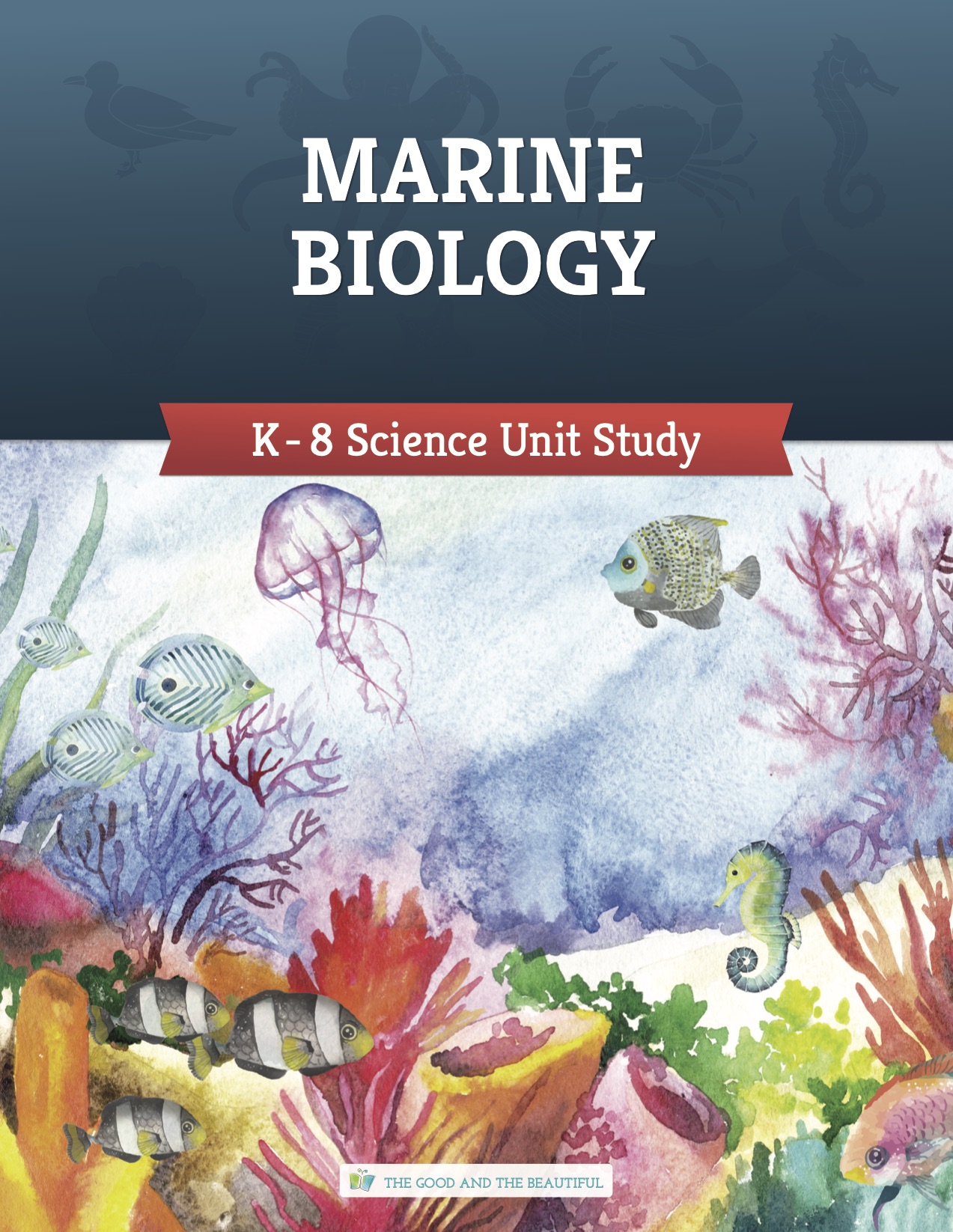 Marine Biology (The Good and the Beautiful) by Jenny Phillips | Goodreads