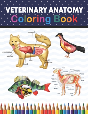 Veterinary Anatomy Coloring Book: Animal Anatomy and Veterinary ...