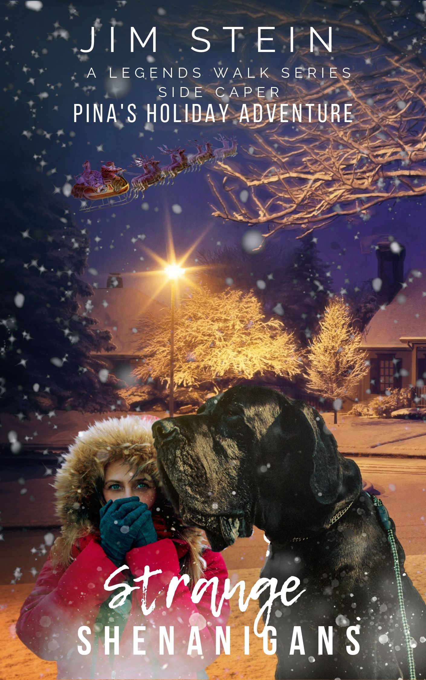 Strange Shenanigans: Pina's Holiday Adventure by Jim Stein | Goodreads