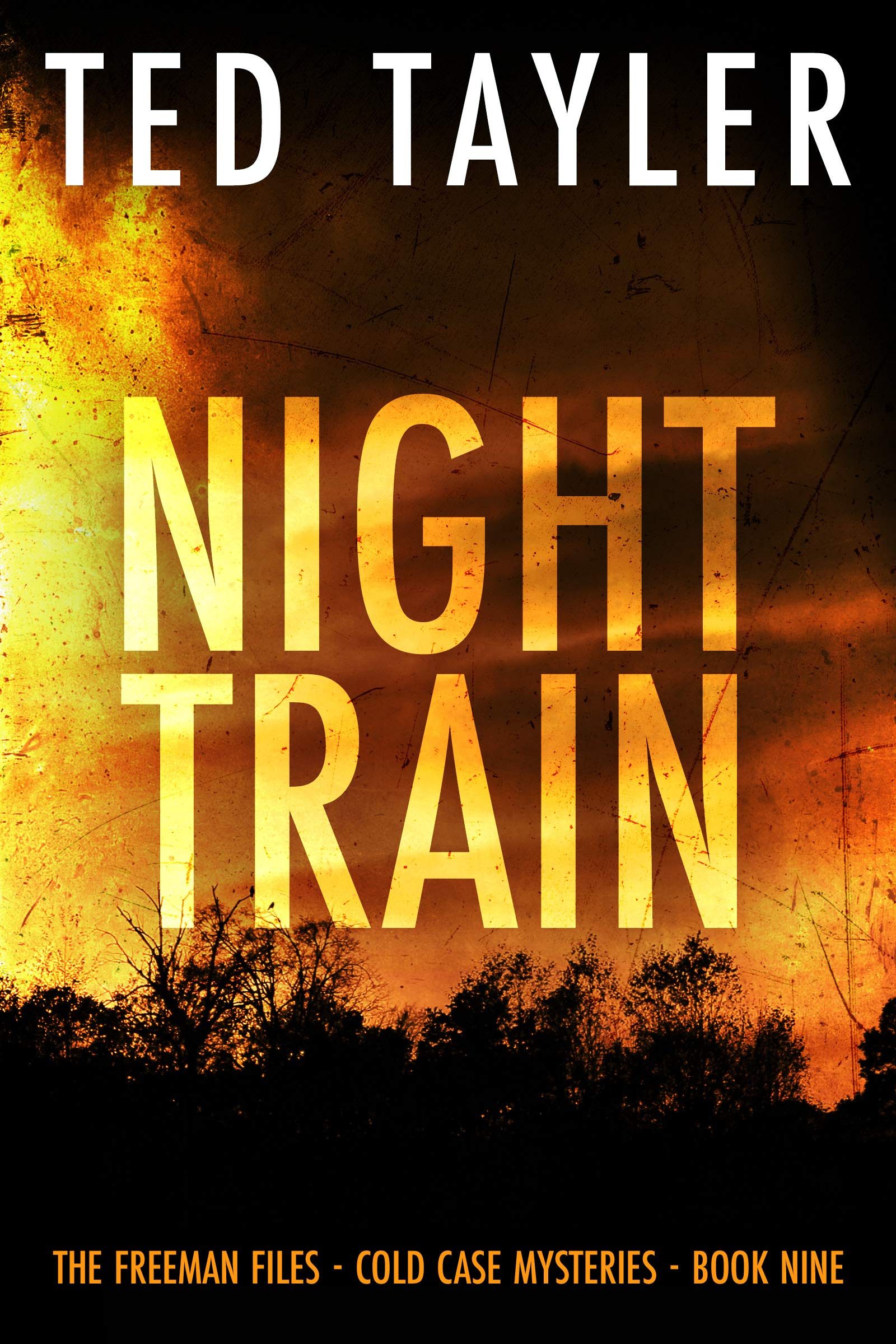 Night Train (The Freeman Files, #9) by Ted Tayler | Goodreads