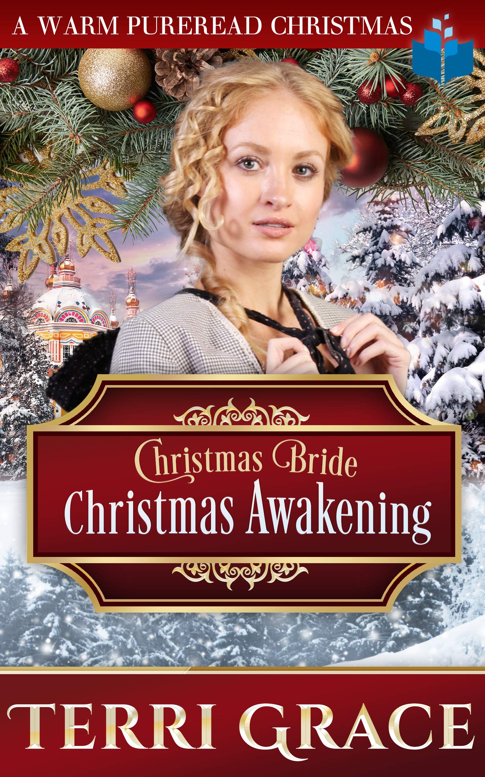 Christmas Awakening by Terri Grace | Goodreads