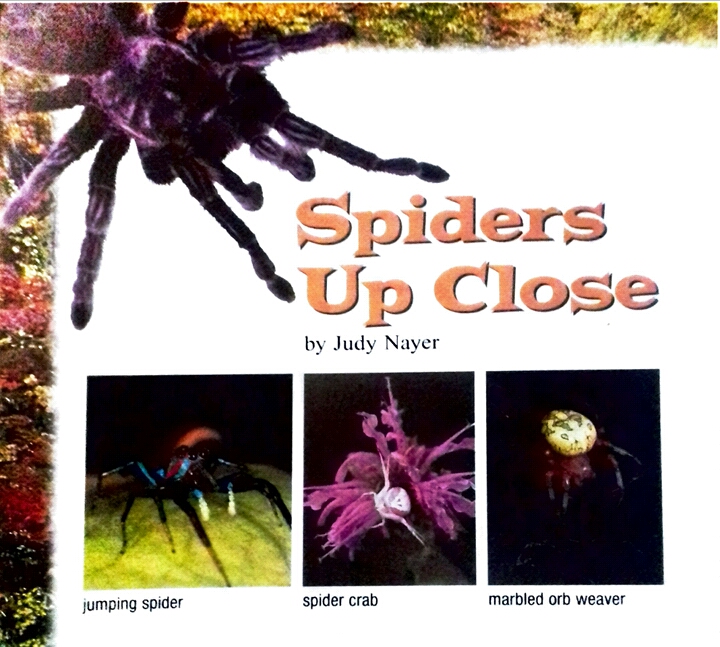 Spiders Up Close by Judy Nayer | Goodreads