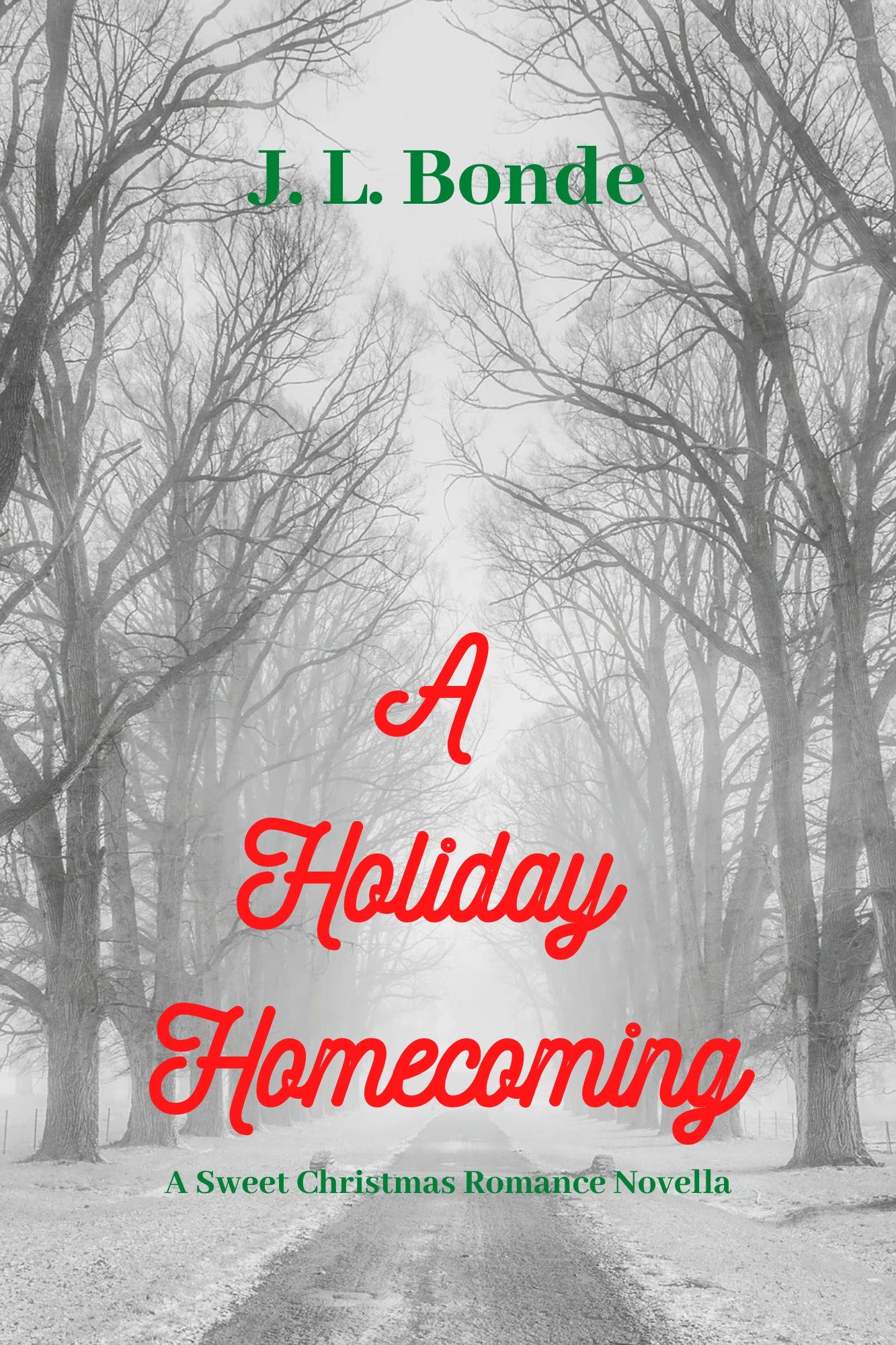 A Holiday Homecoming by J.L. Bonde | Goodreads