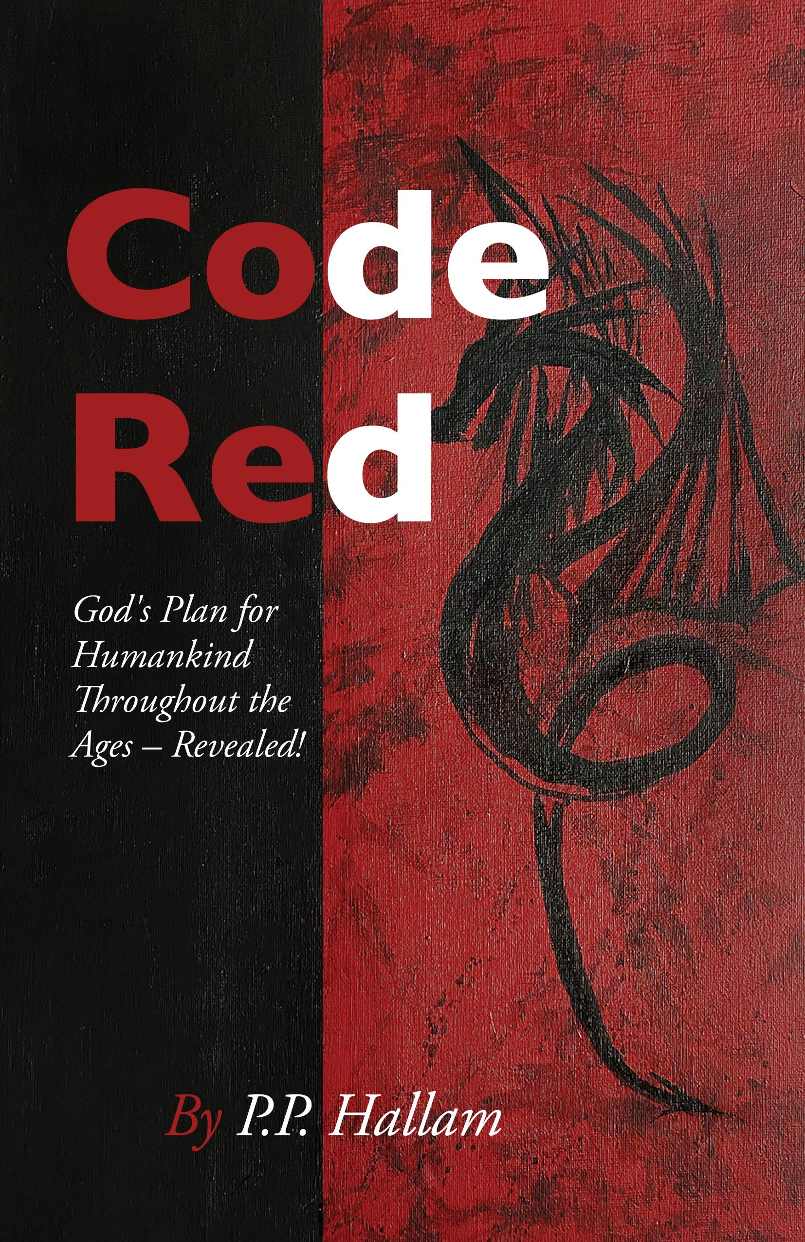 Code Red: God's Plan for Humankind Throughout the Ages - Revealed! by P ...