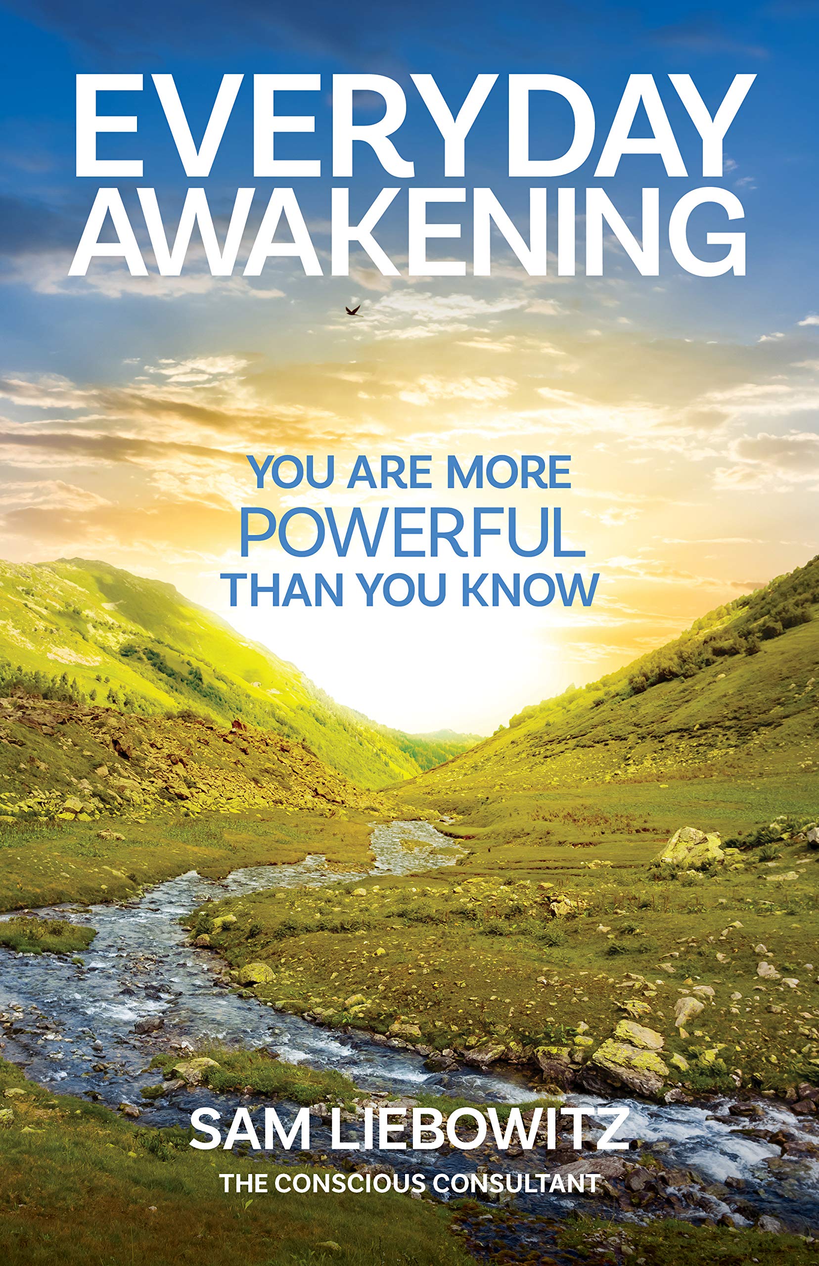Everyday Awakening: You Are More Powerful Than You Know by Sam ...
