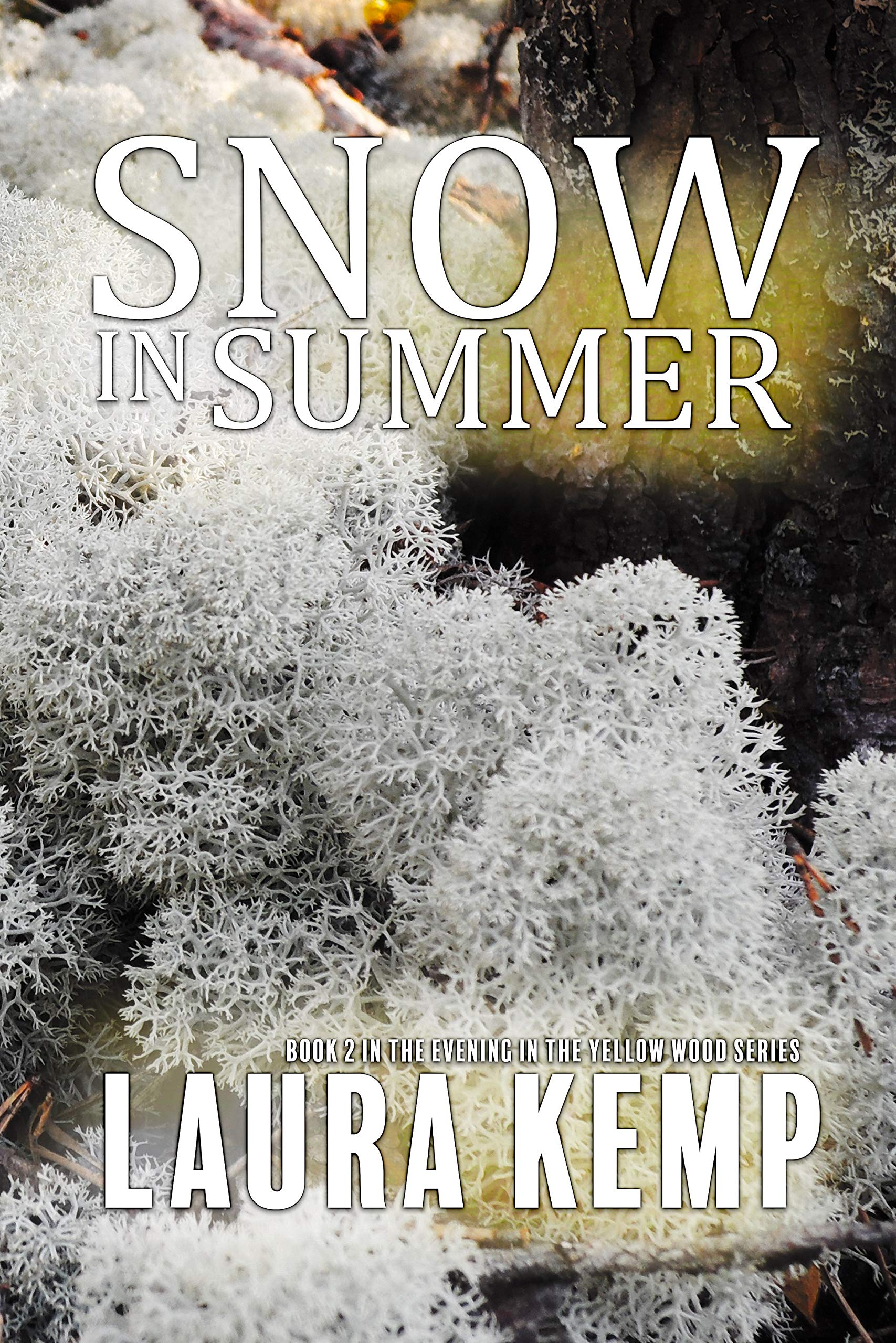 Snow in Summer: Yellow Wood Series: Book 2 by Laura Kemp | Goodreads
