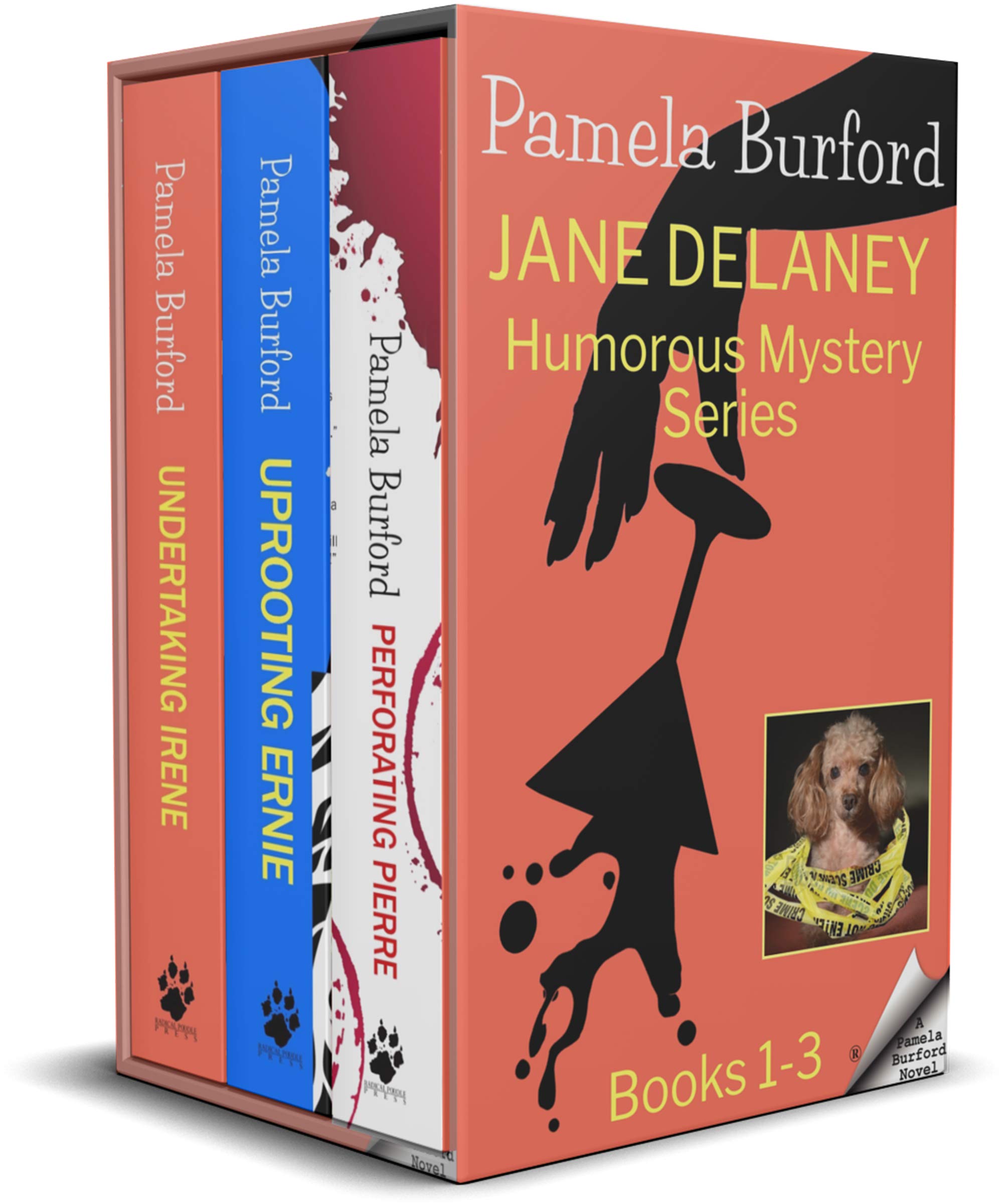 Jane Delaney Humorous Mystery Series: Books 1-3 Box Set by Pamela ...
