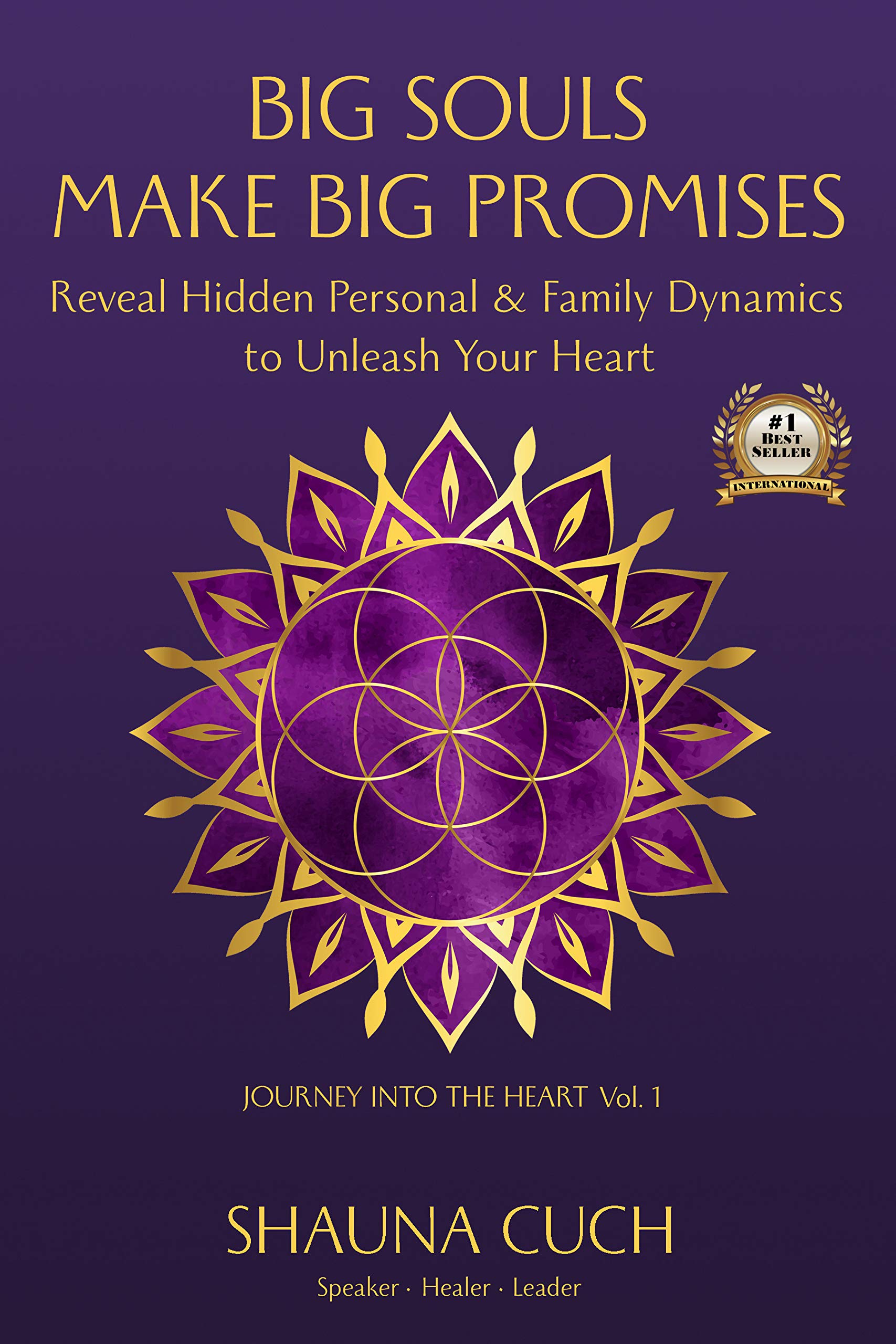 Big Souls Make Big Promises: Reveal Hidden Personal & Family Dynamics ...