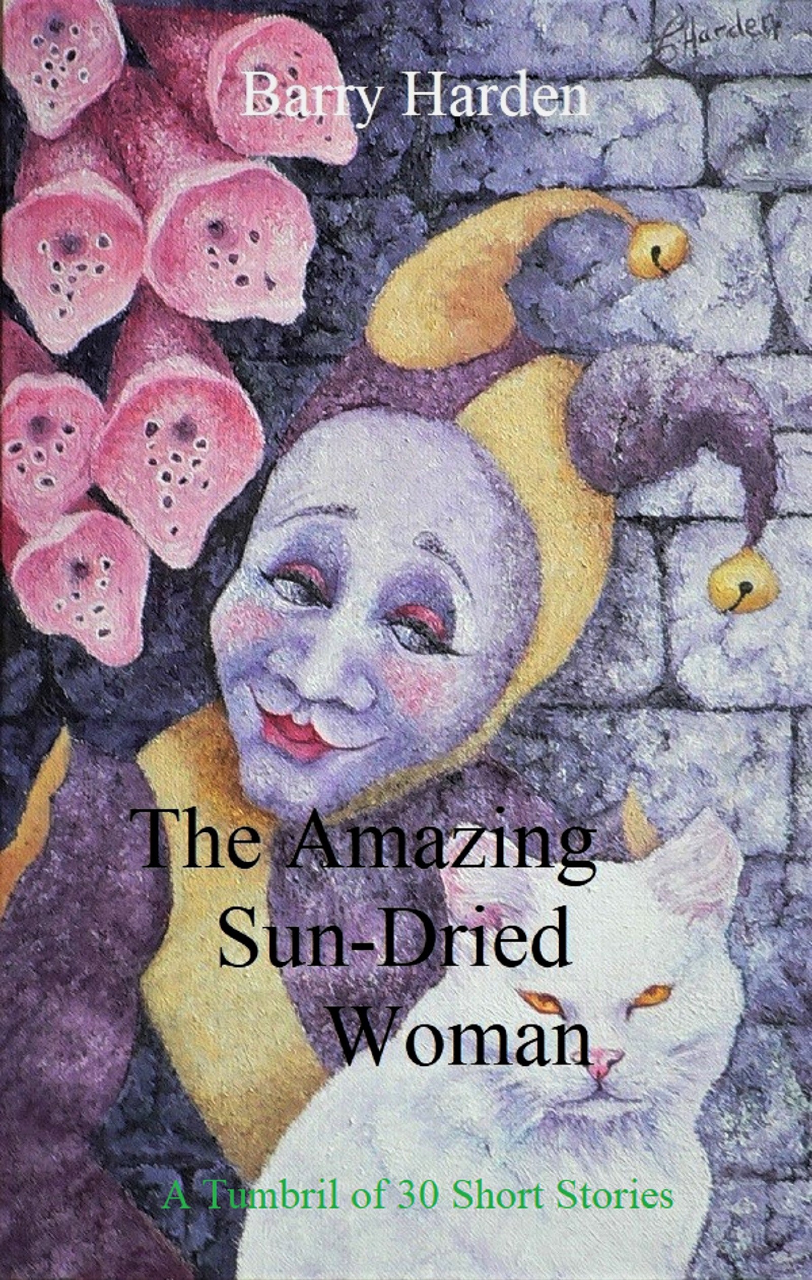 The Amazing Sun-Dried Woman by Barry Harden | Goodreads