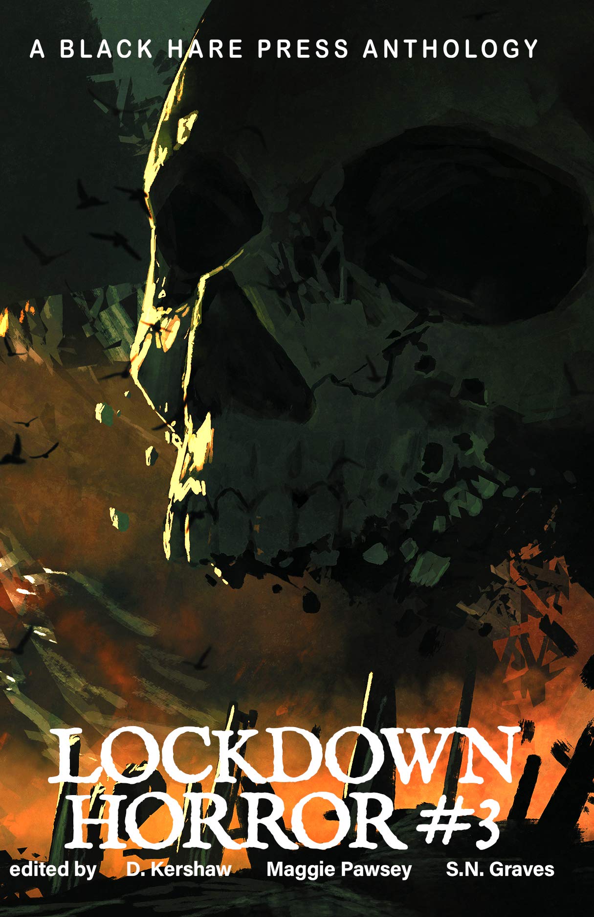 Lockdown: Horror #3 (Lockdown Horror, #3) by D. Kershaw | Goodreads