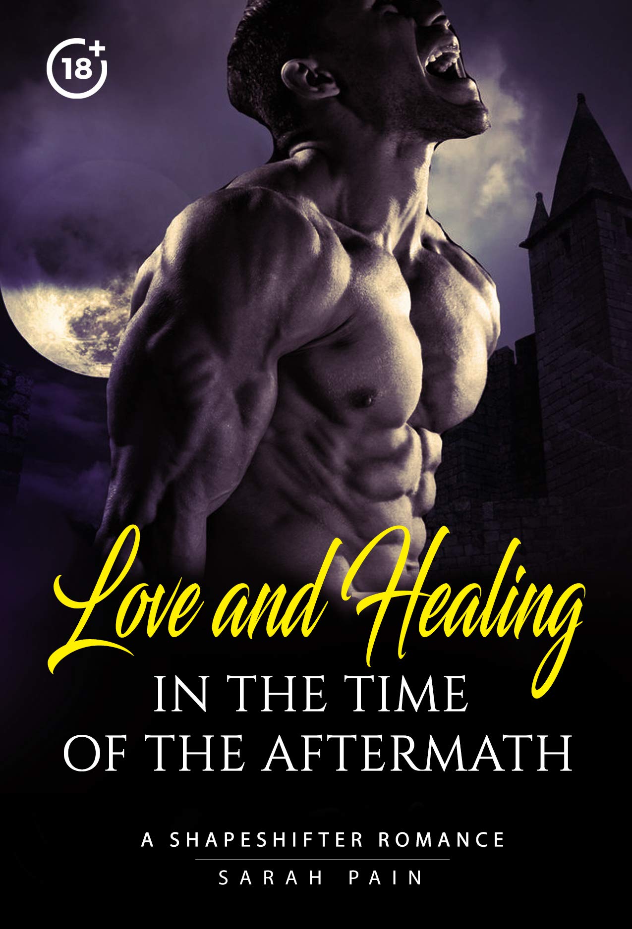 Love and Healing in the Time of the Aftermath: A Shapeshifter Romance ...