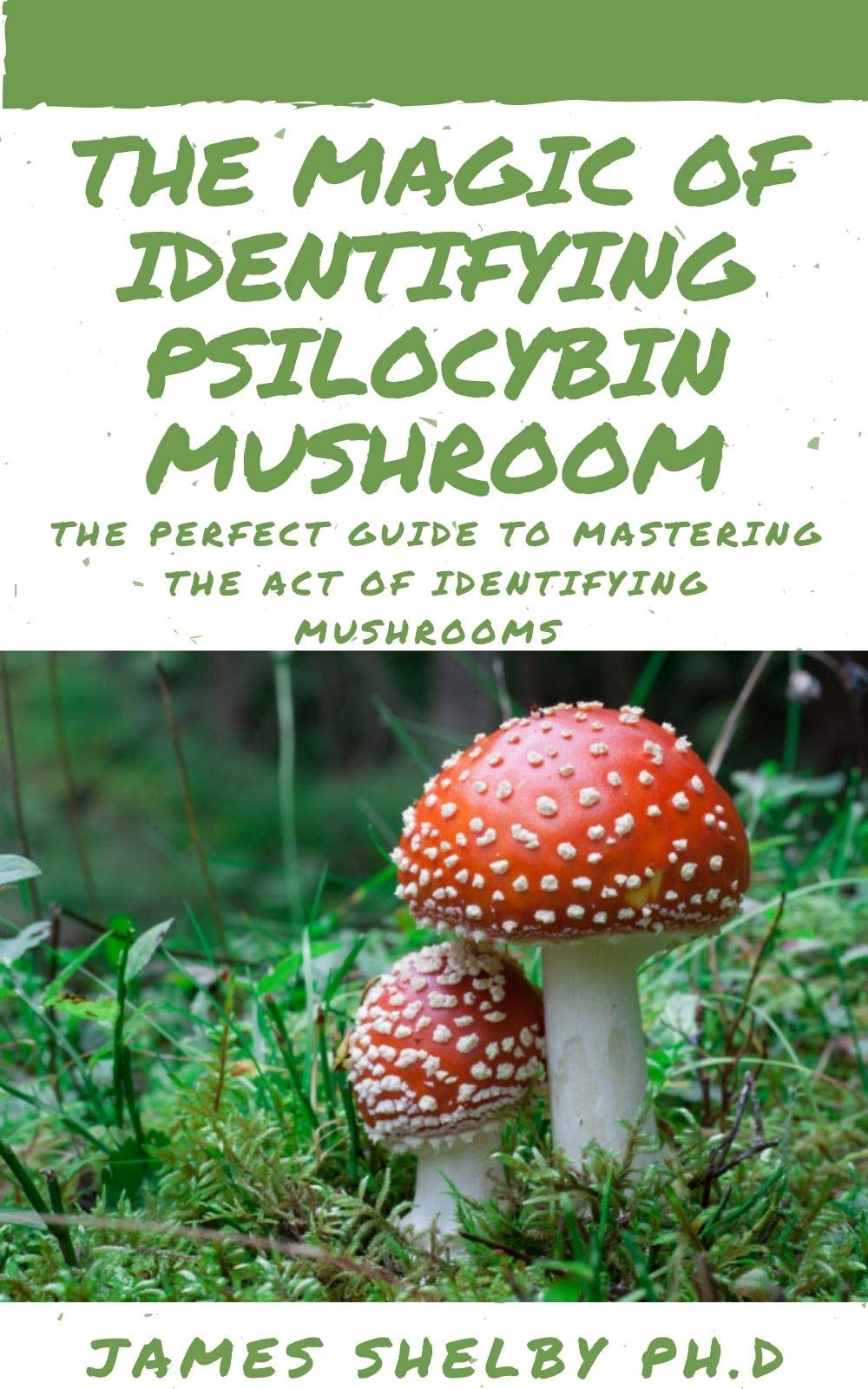 THE MAGIC OF IDENTIFYING PSILOCYBIN MUSHROOM: The Perfect Guide To ...