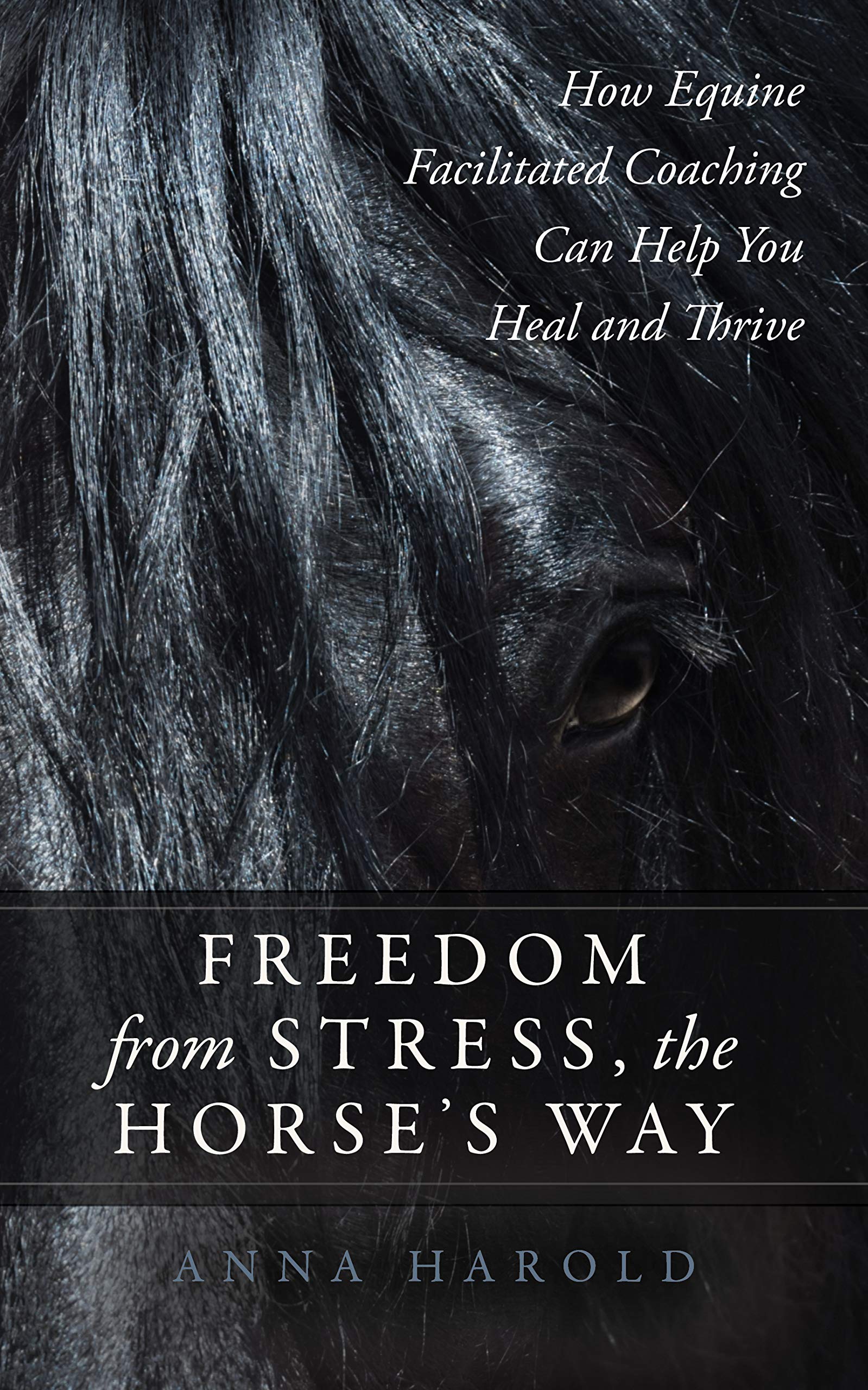 Freedom from Stress, the Horse's Way: How Equine Facilitated Coaching ...