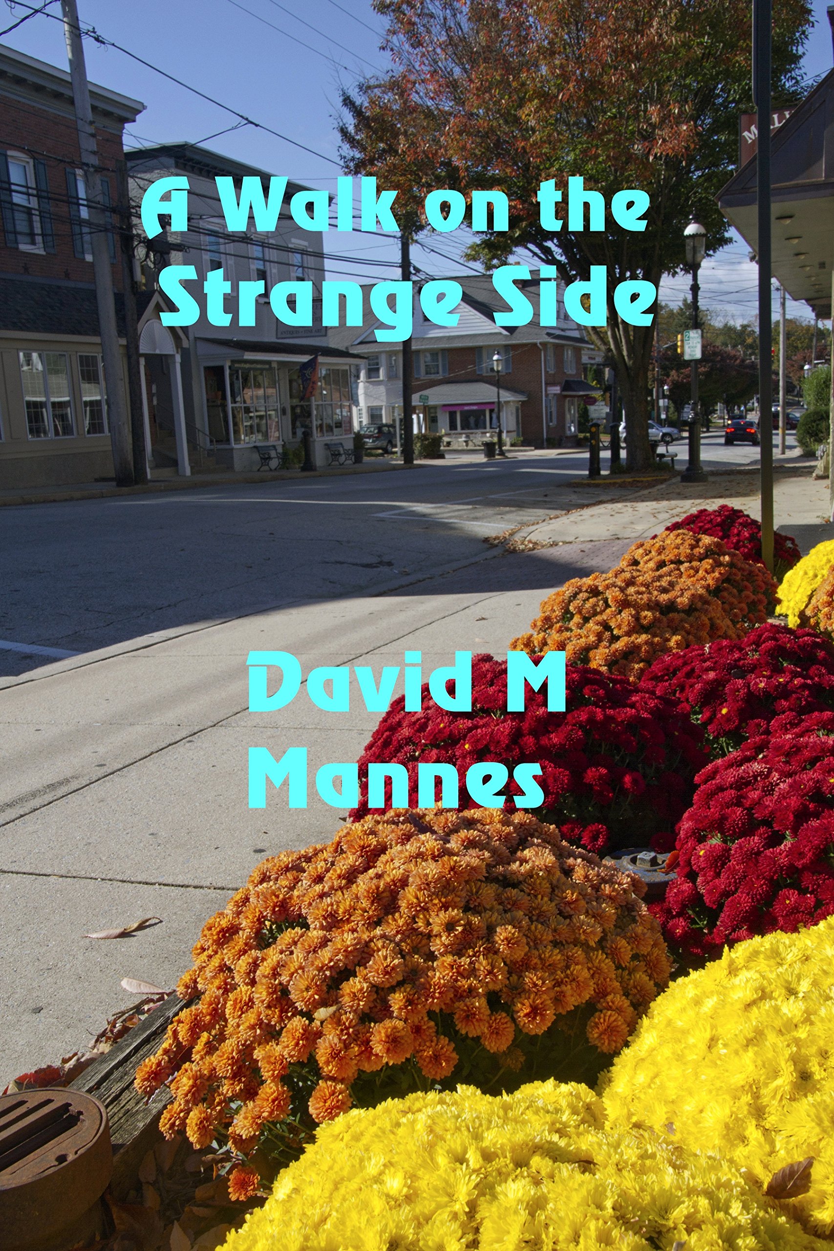 A Walk on the Strange Side by David M. Mannes | Goodreads