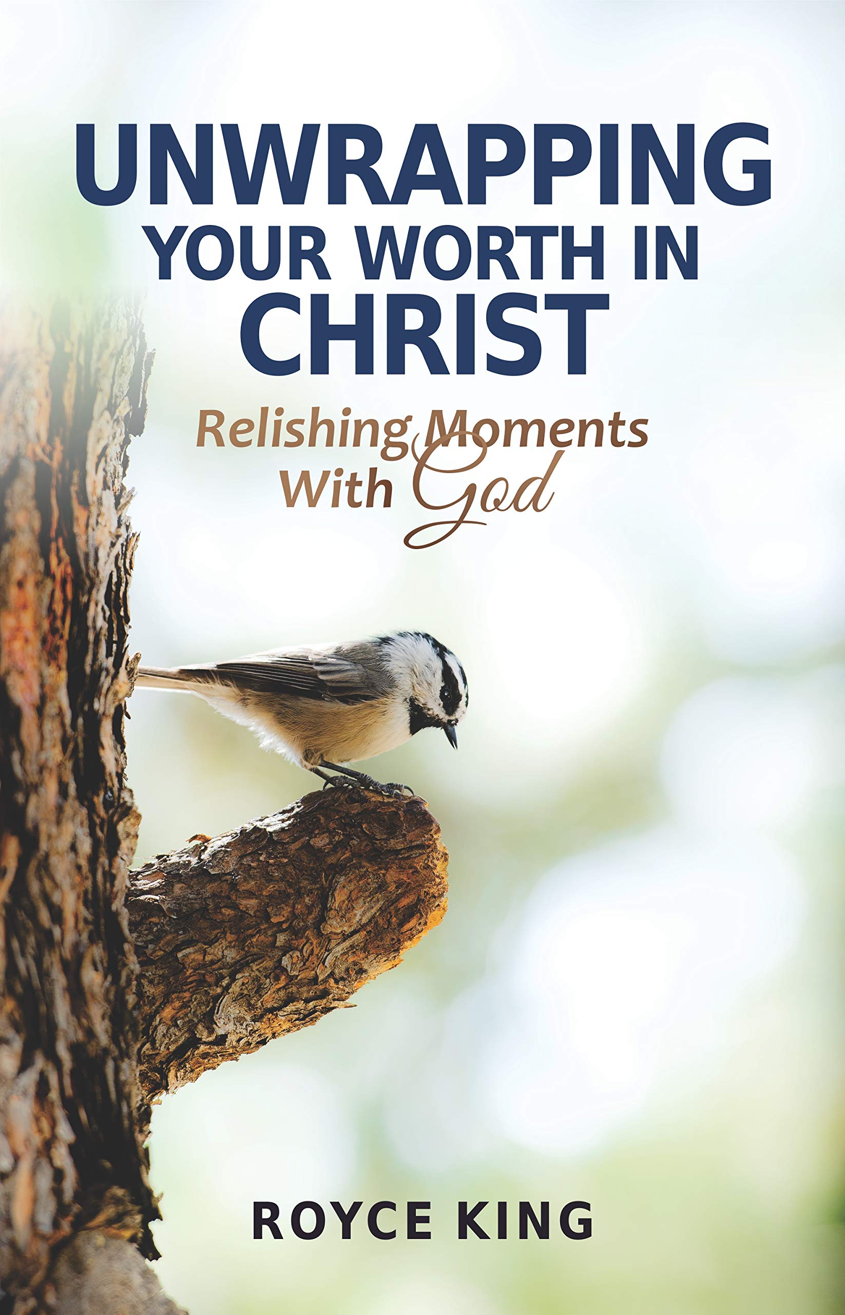 Unwrapping Your Worth in Christ: Relishing Moments With God by Royce ...