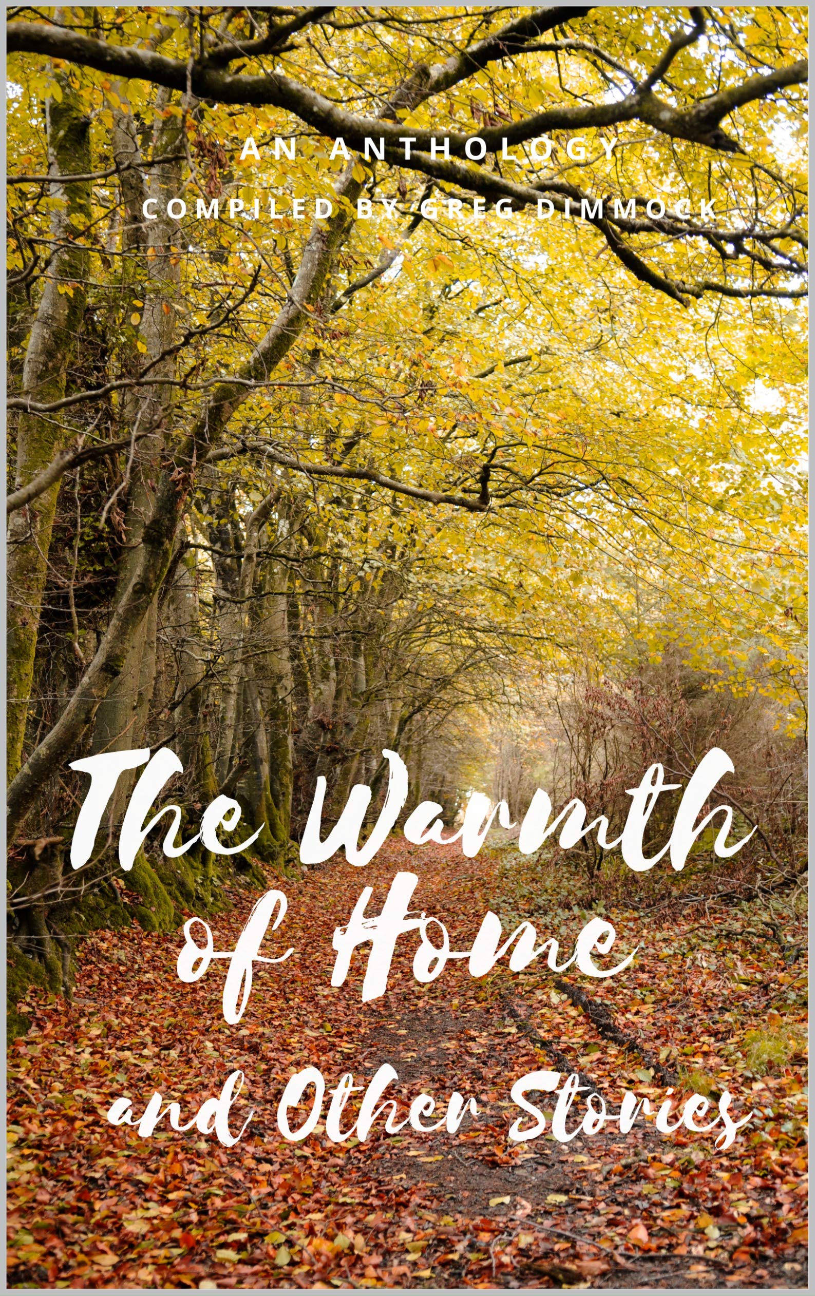 The Warmth of Home and Other Stories: An Anthology of work created ...