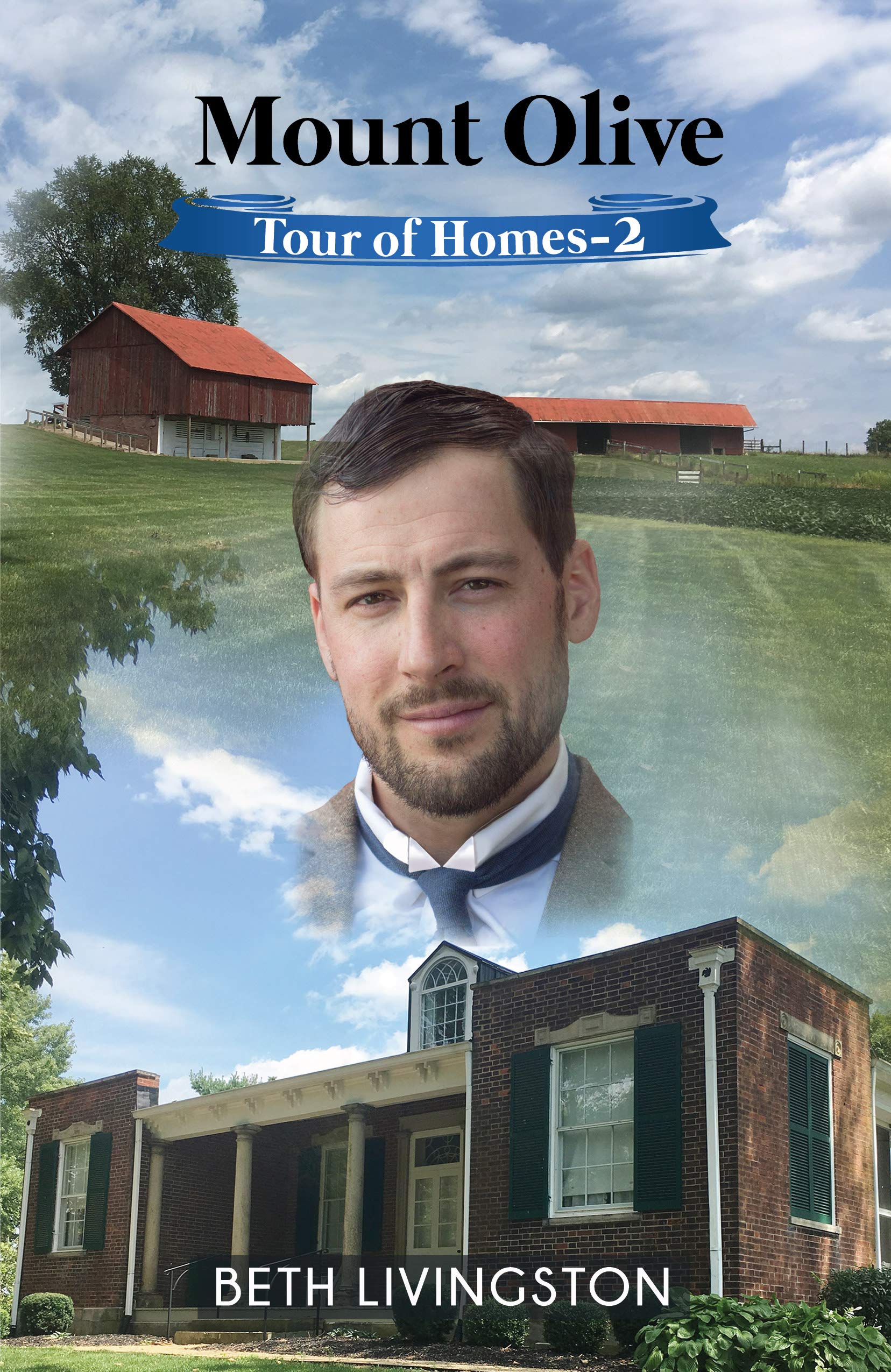 Mount Olive (Tour of Homes Book 2) by Beth Livingston | Goodreads