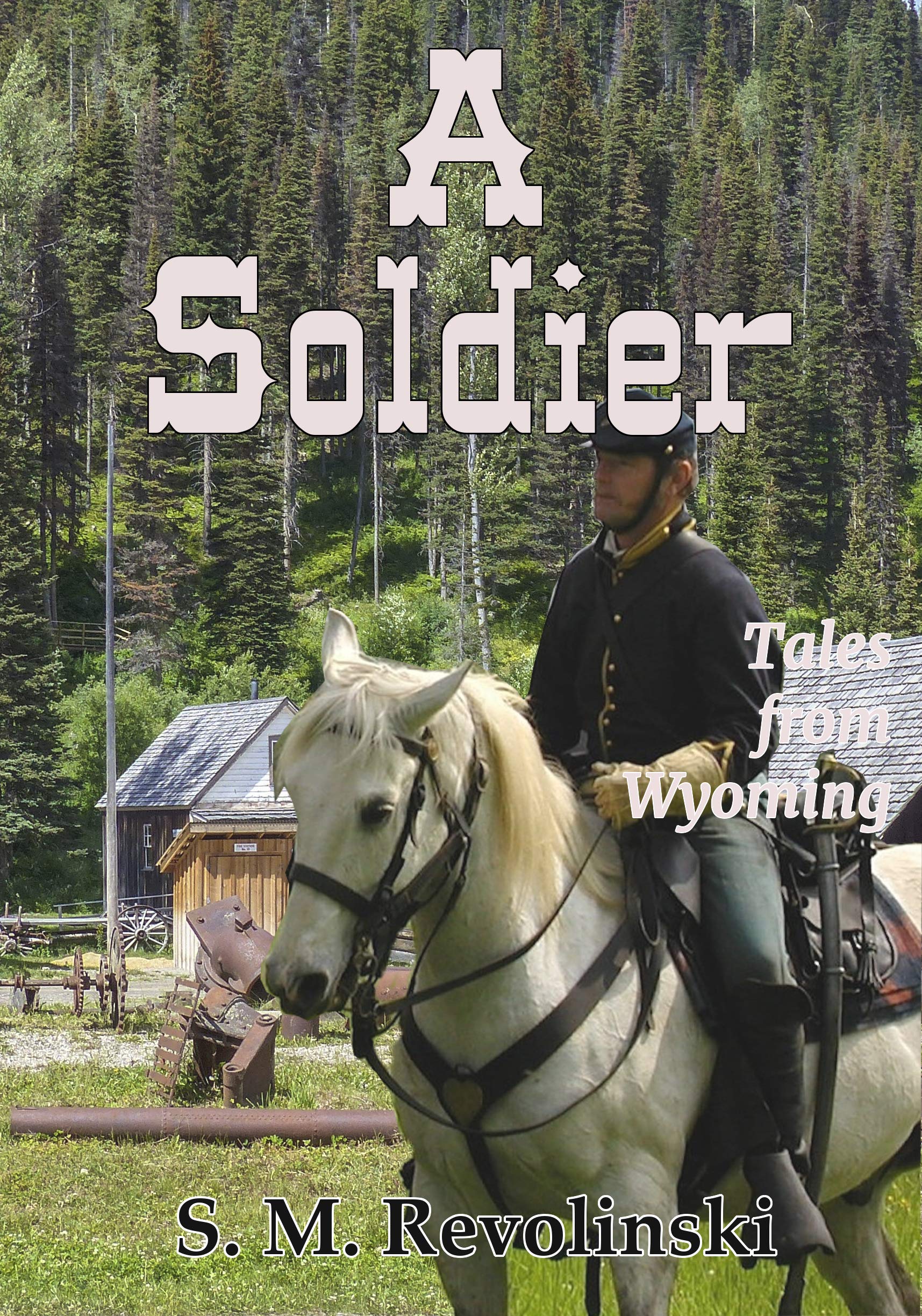 A Soldier (Tales From Wyoming Book 6) by S.M. Revolinski | Goodreads