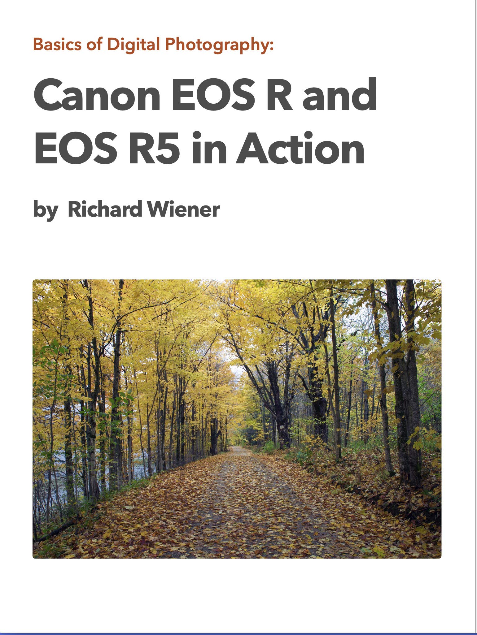 Basics of Digital Photography: Canon EOS R and EOS R5 in Action by ...