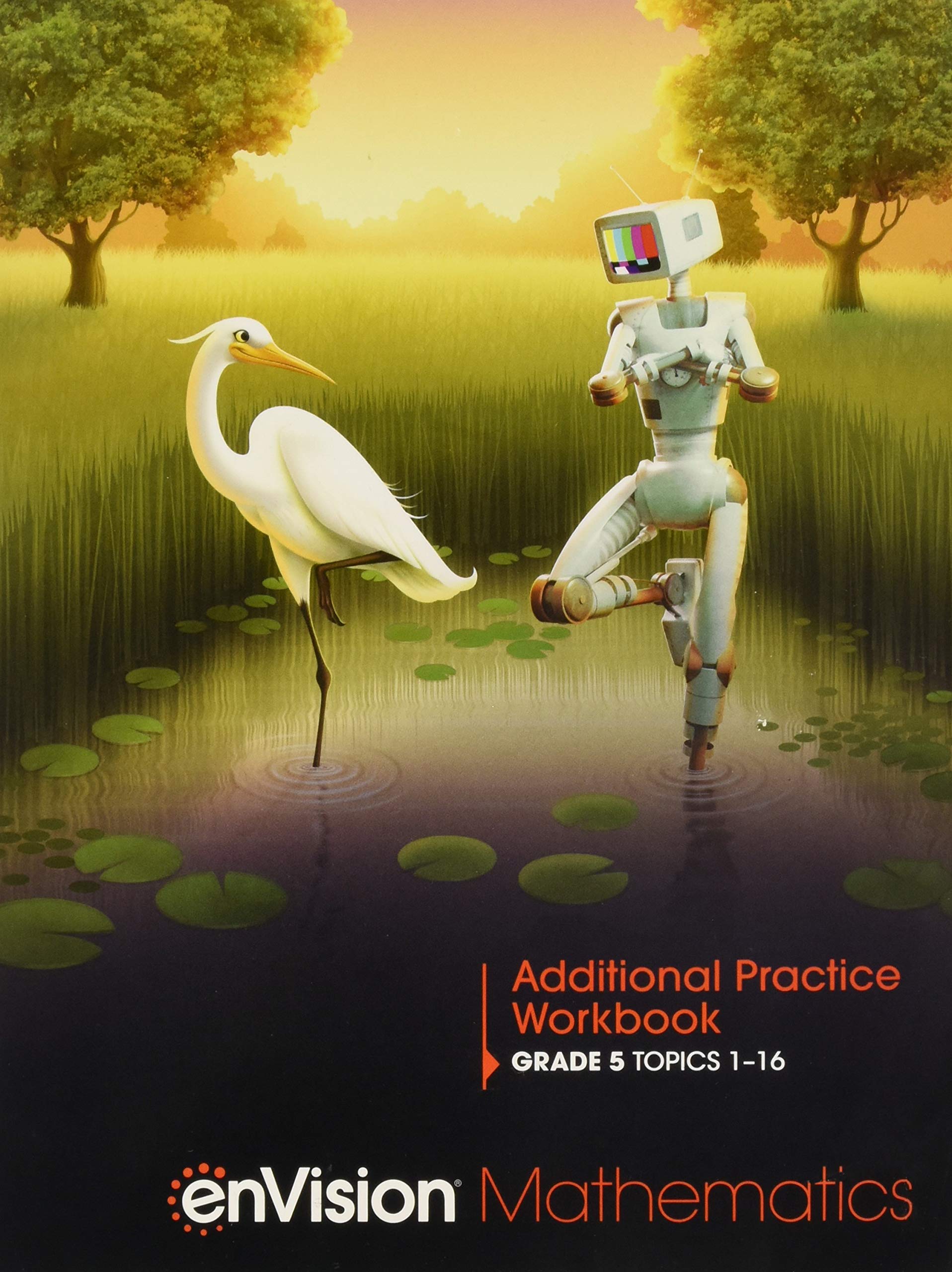 ENVISION MATHEMATICS 2020 ADDITIONAL PRACTICE WORKBOOK GRADE 5 By Scott 