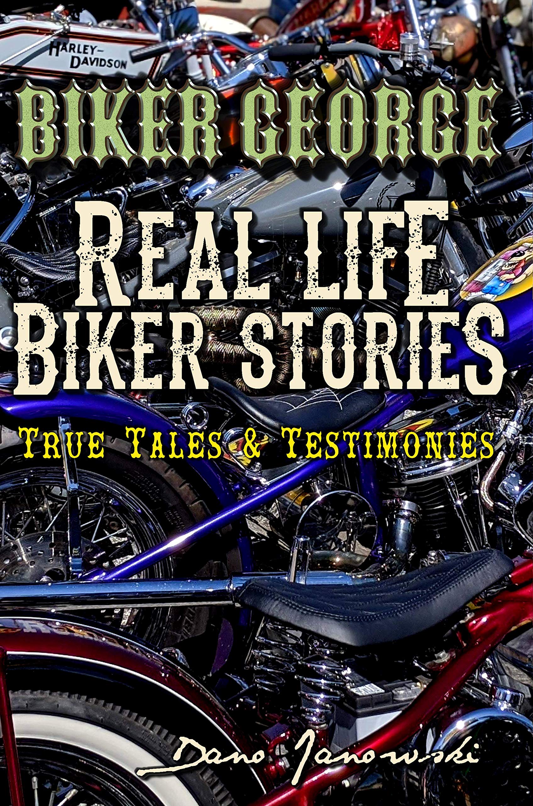 Biker George Real Life Biker Stories: True Tales & Testimonies by Dano ...